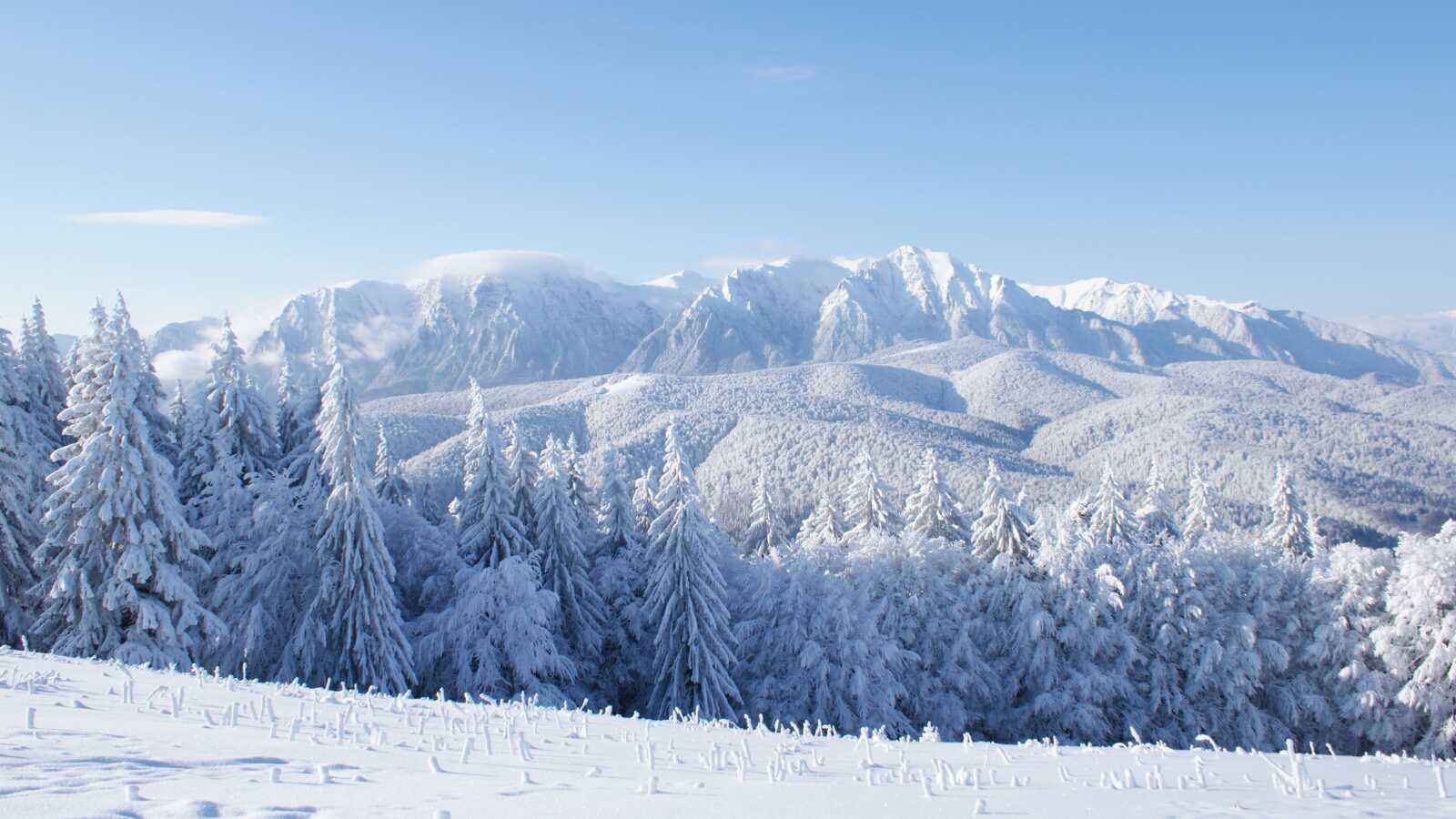 Snow Wallpapers (50 images) - WallpaperCat