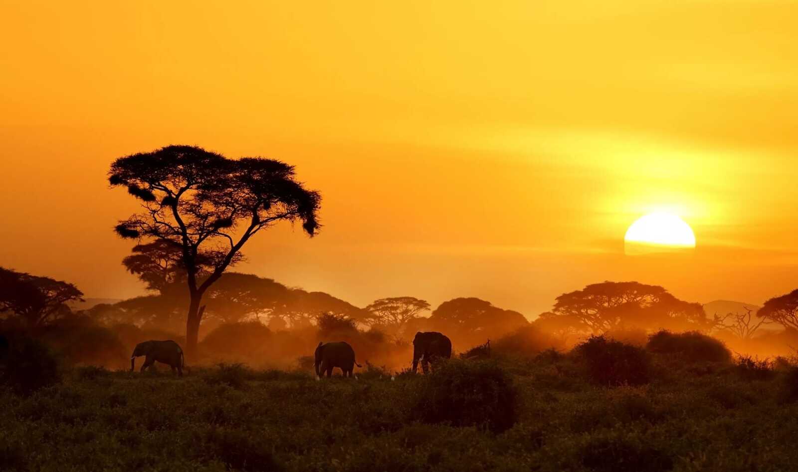 Kenya Wallpapers (40 images) - WallpaperCat