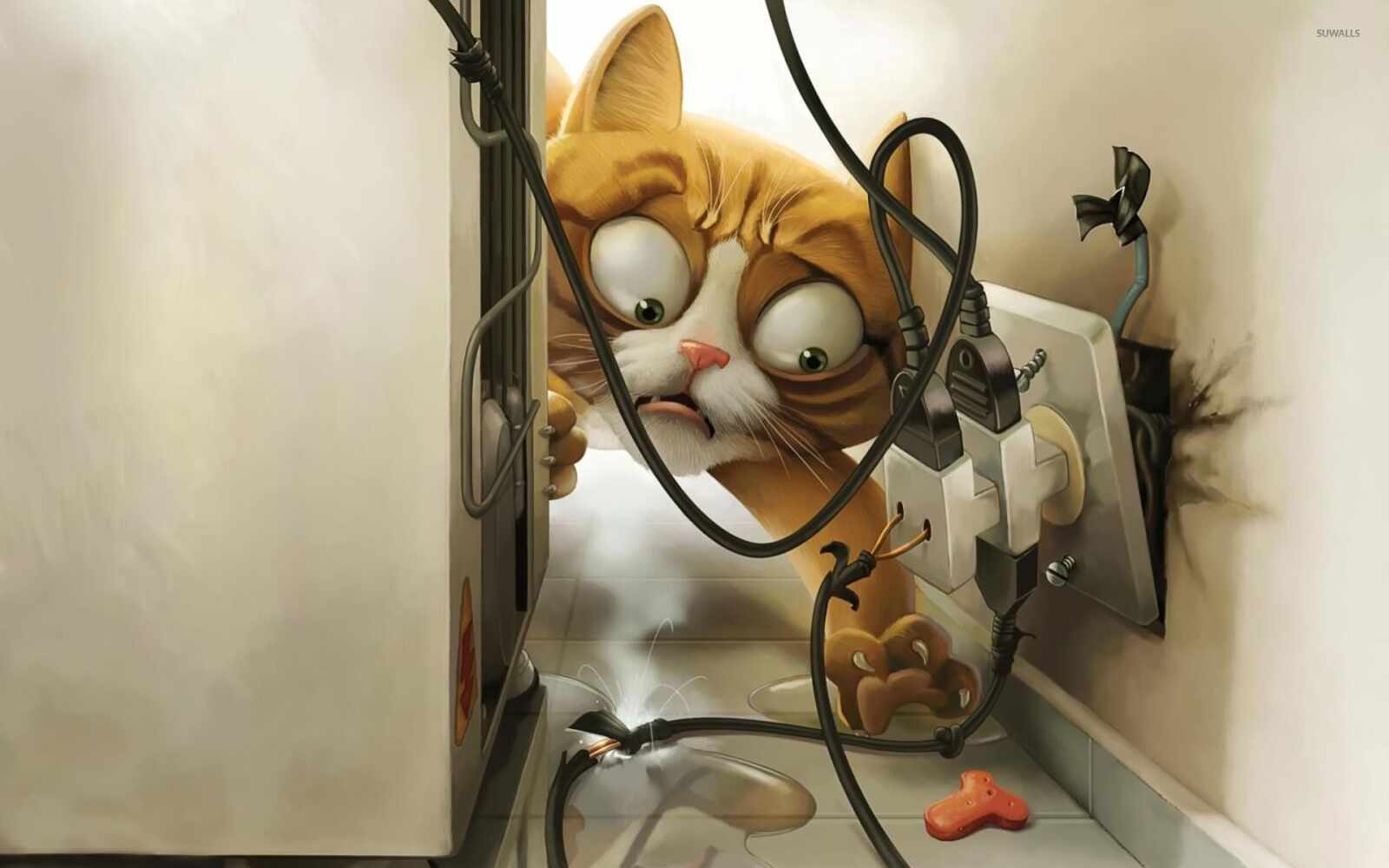 Funny Wallpapers (38 images) - WallpaperCat