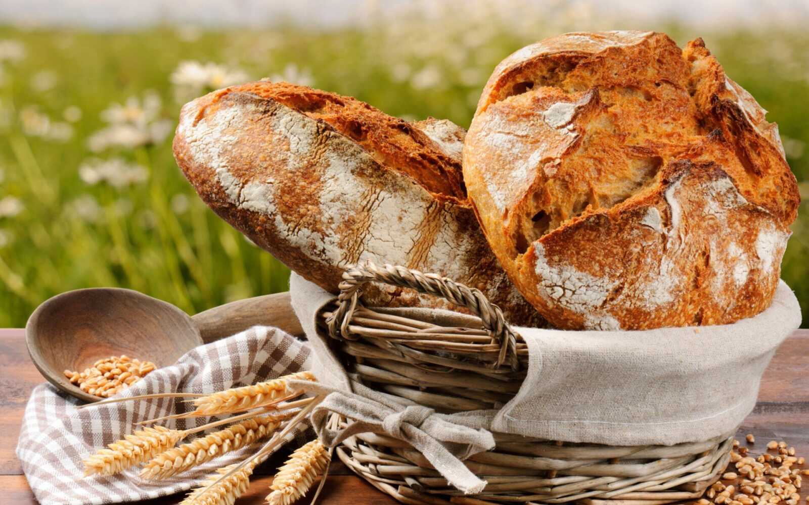 Bread Wallpapers (48 images) - WallpaperCat