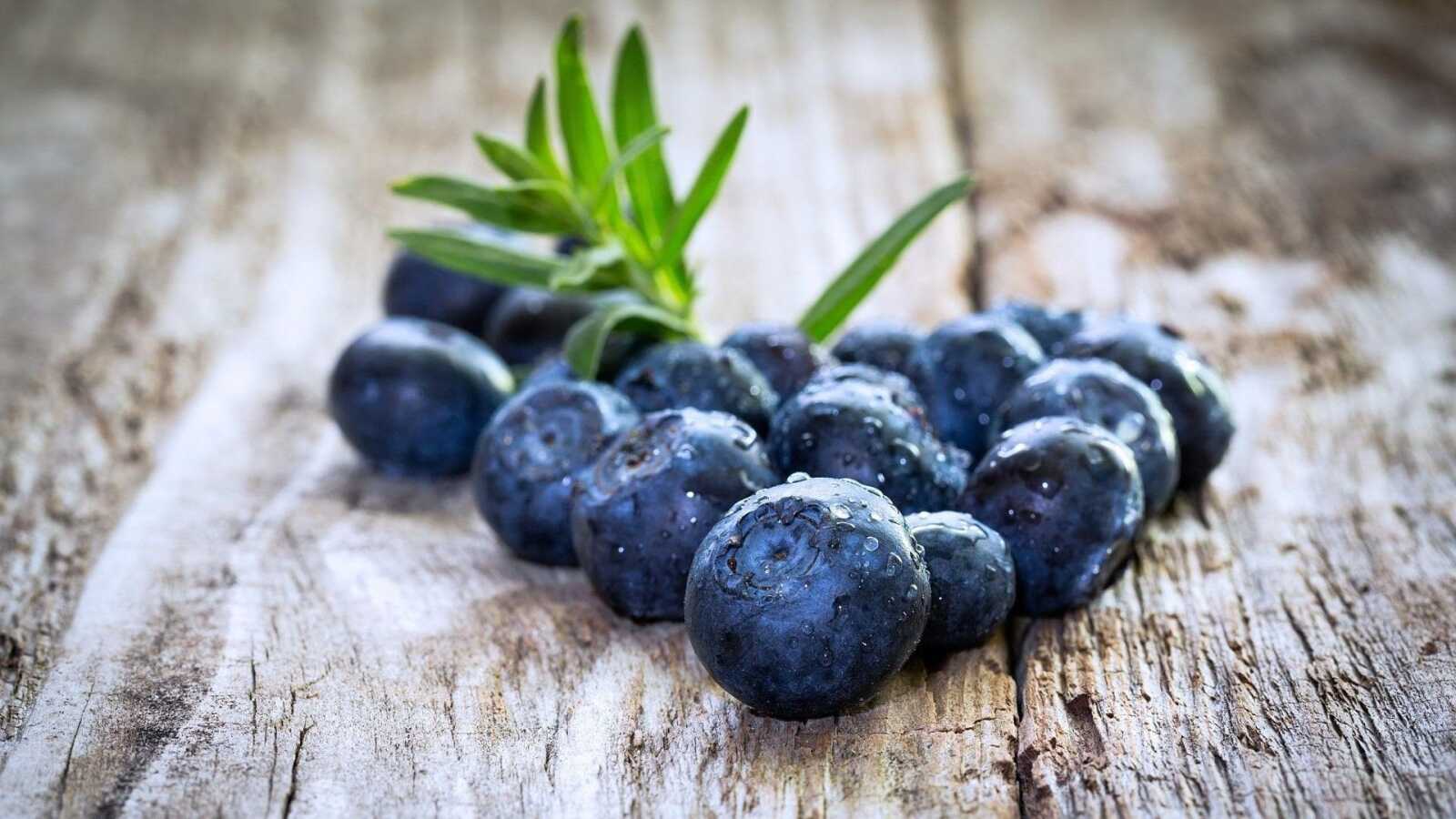 Blueberry Wallpapers (59 images) - WallpaperCat
