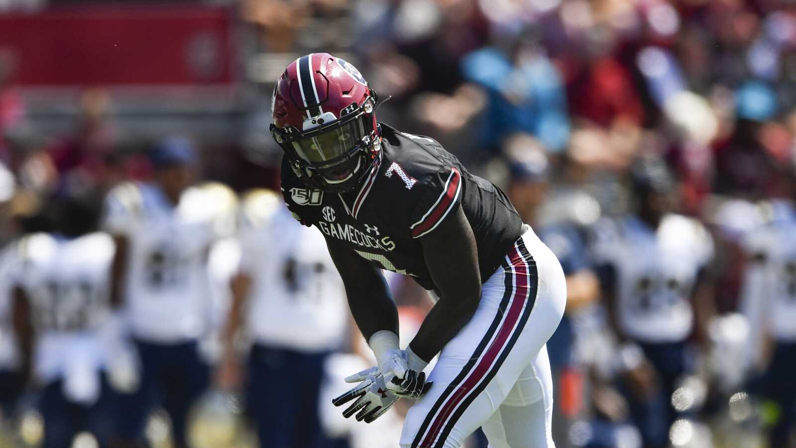 Gamecocks Wallpapers (31 images) - WallpaperCat