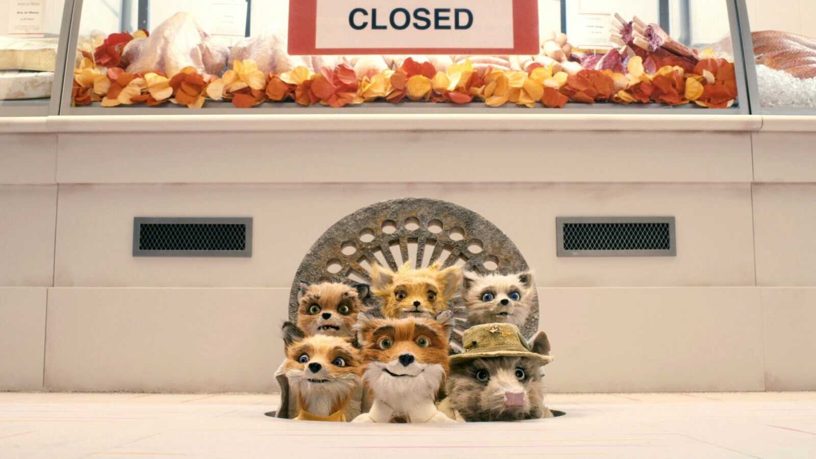 Fantastic Mr. Fox Wallpapers (33 images) - WallpaperCat
