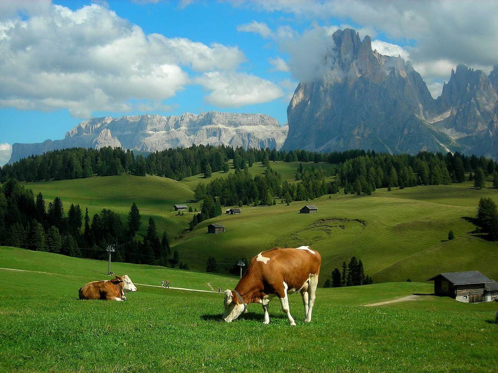 Farm Wallpapers (97 images) - WallpaperCat