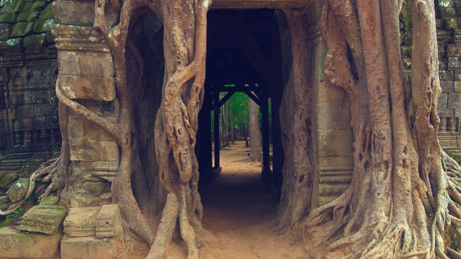 Asia Wallpapers (52 images) - WallpaperCat