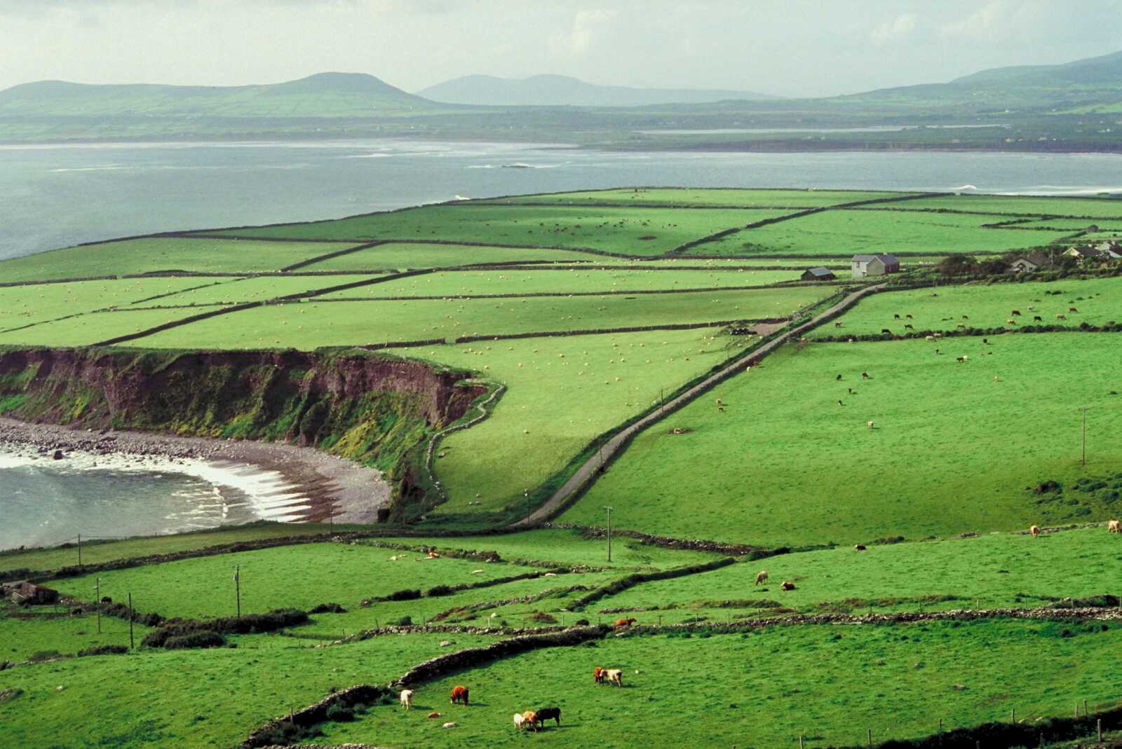 Irish Countryside Wallpapers (43 images) - WallpaperCat