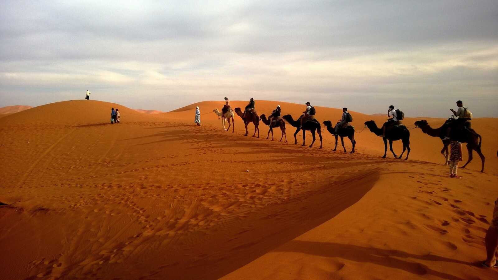 Middle East Wallpapers (40 images) - WallpaperCat