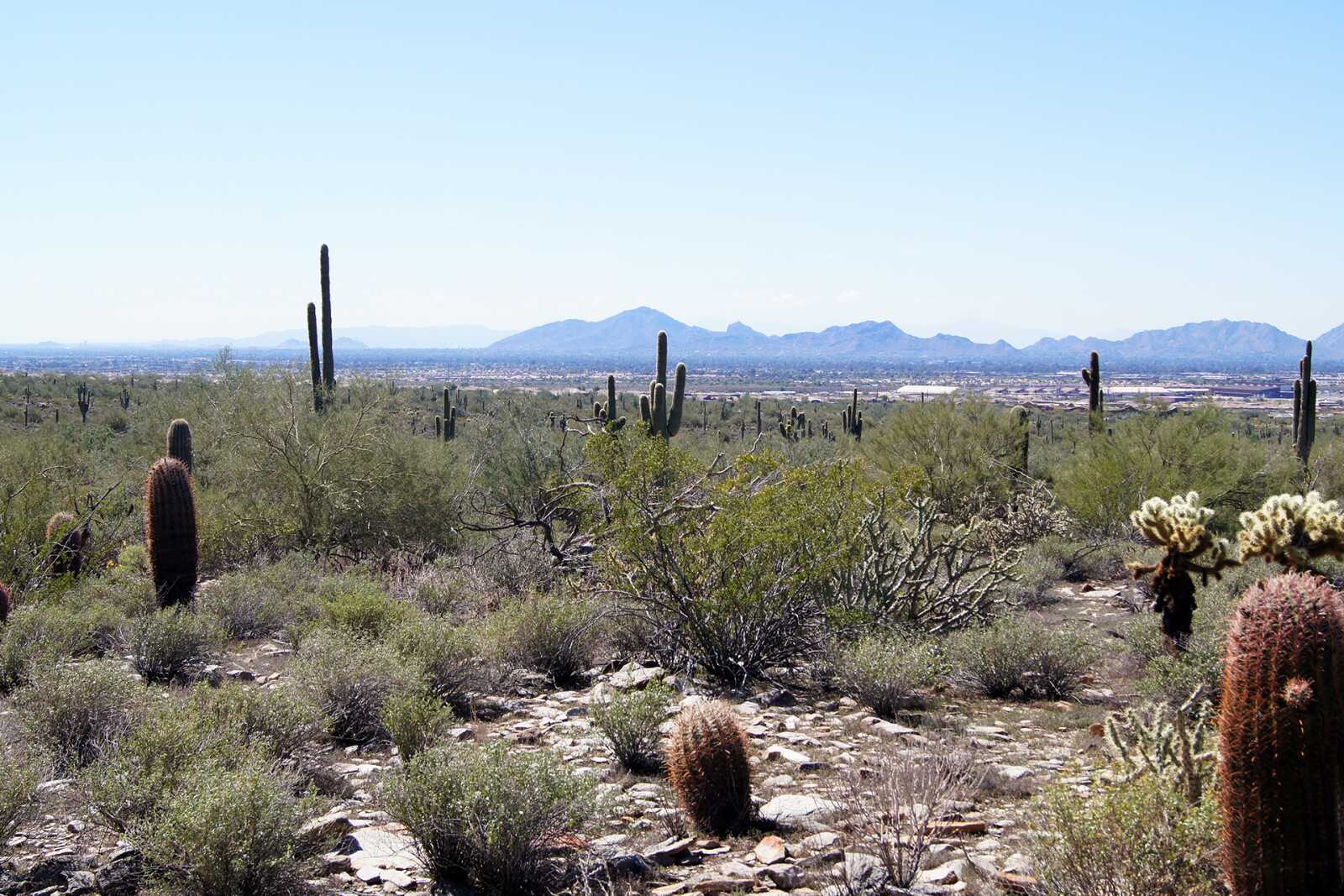 Arizona Wallpapers (48 images) - WallpaperCat