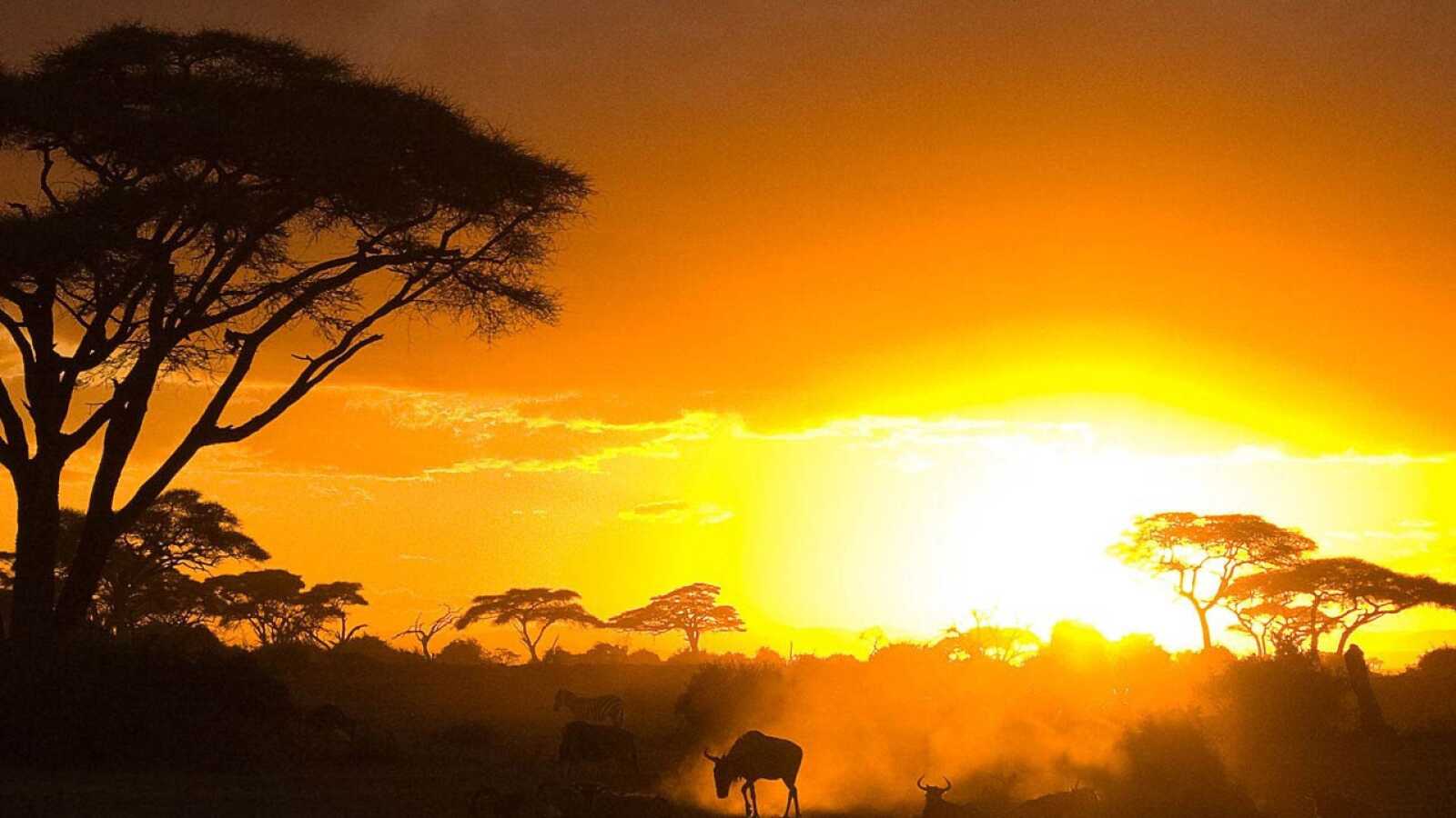 Kenya Wallpapers (40 images) - WallpaperCat