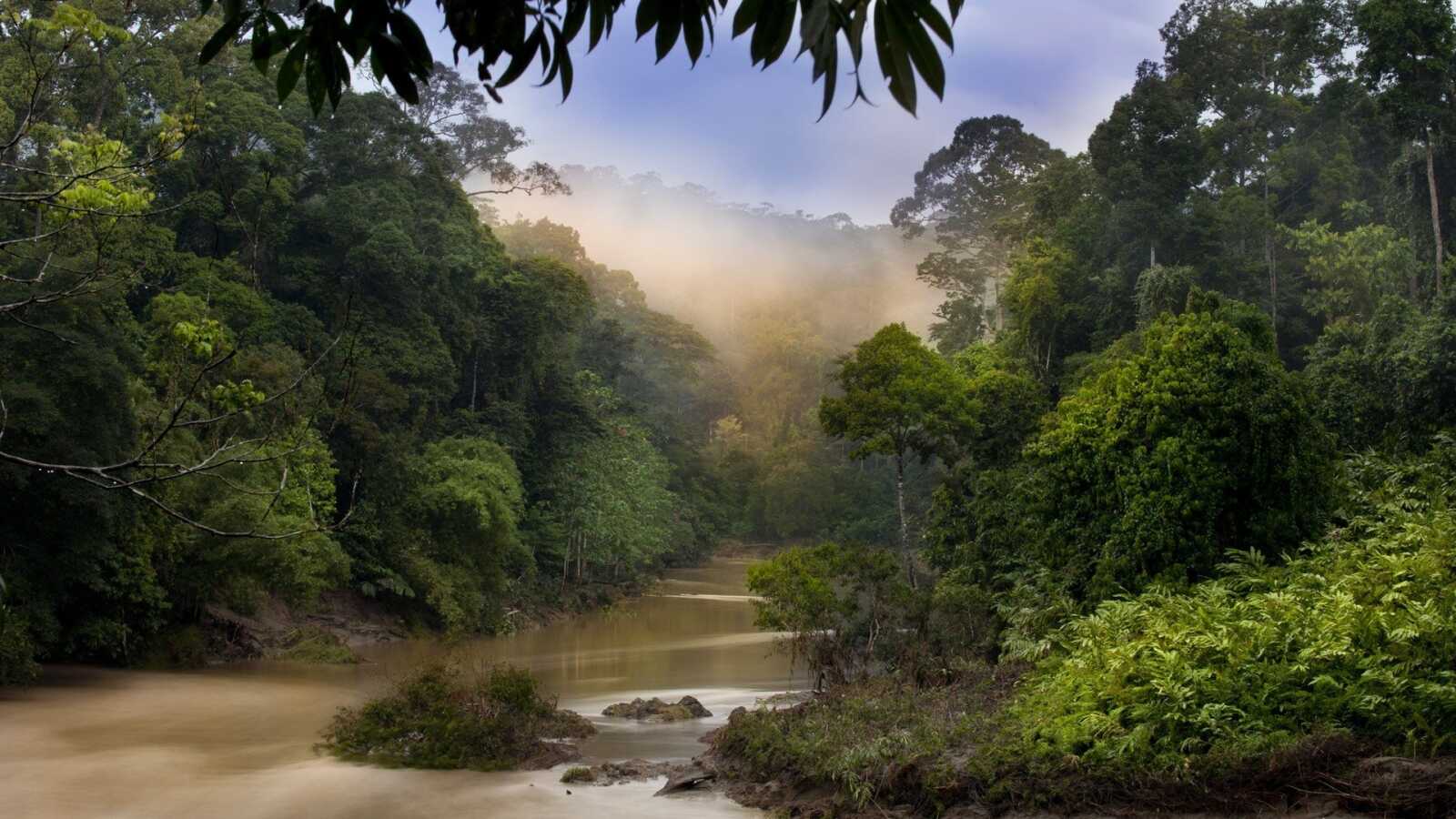 Malaysia Wallpapers (53 images) - WallpaperCat