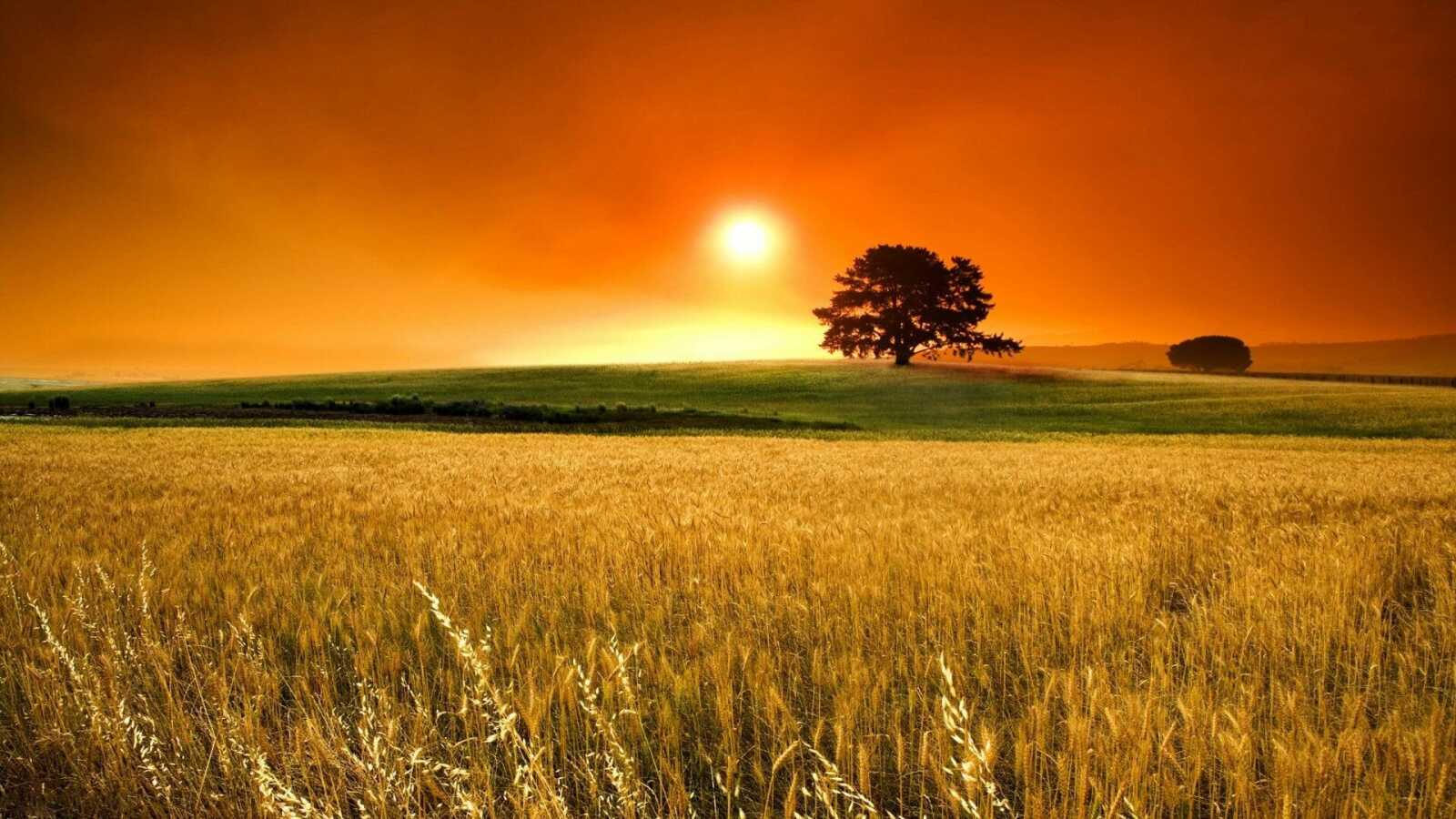 Summer Wallpapers (99 images) - WallpaperCat