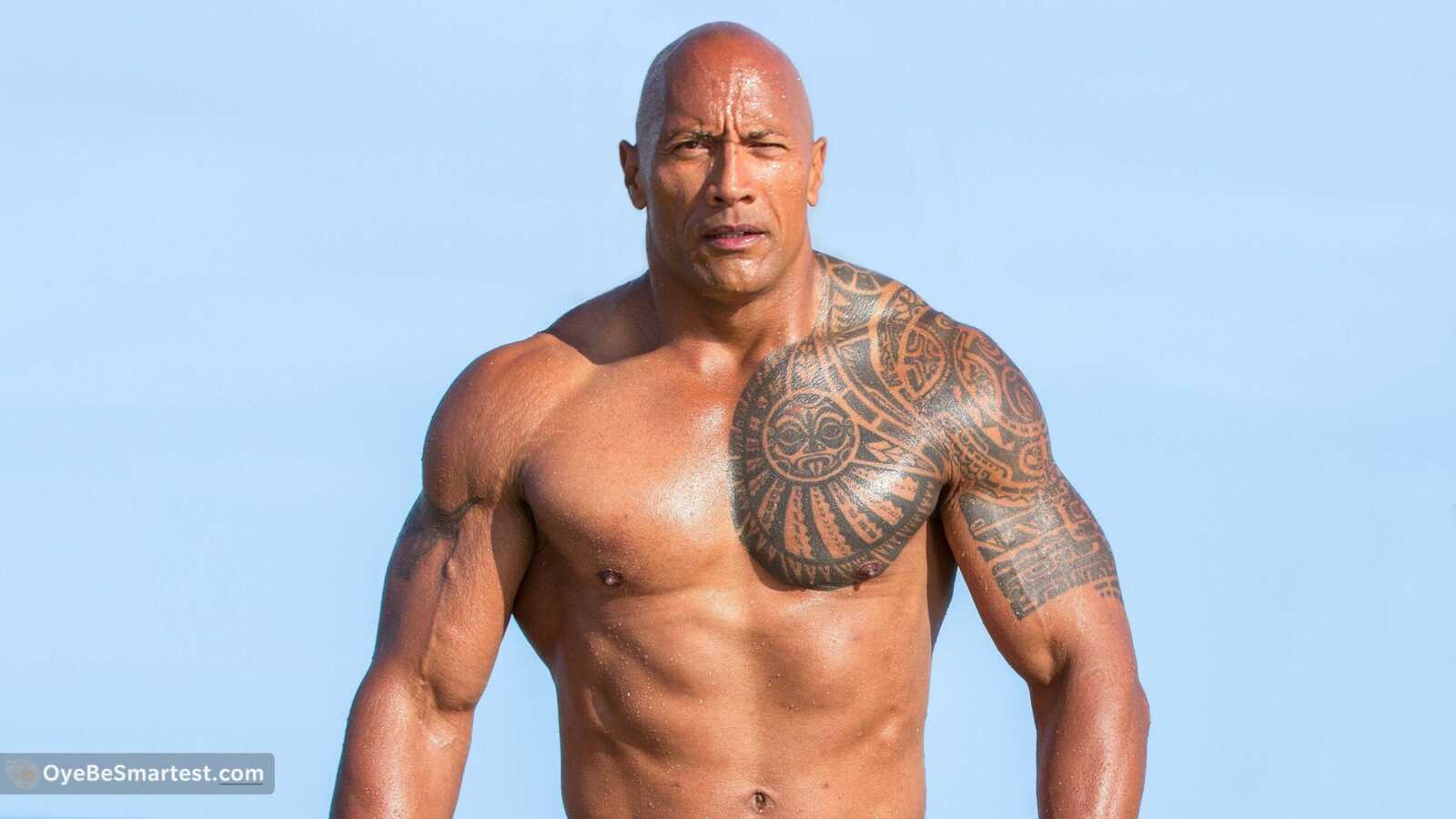 Dwayne Johnson Wallpapers (61 images) - WallpaperCat
