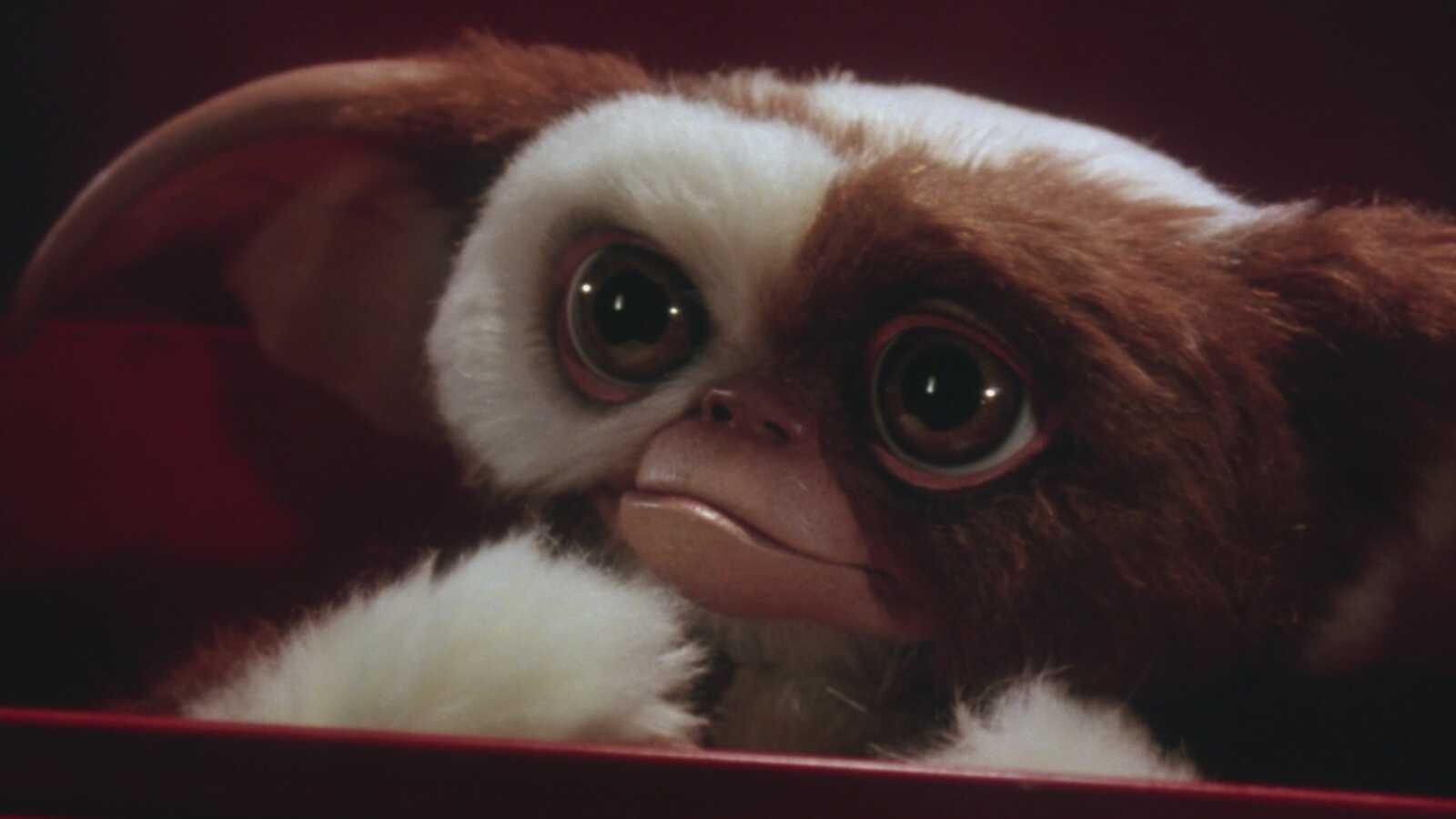 Gremlin Gizmo Wallpapers (26 images) - WallpaperCat