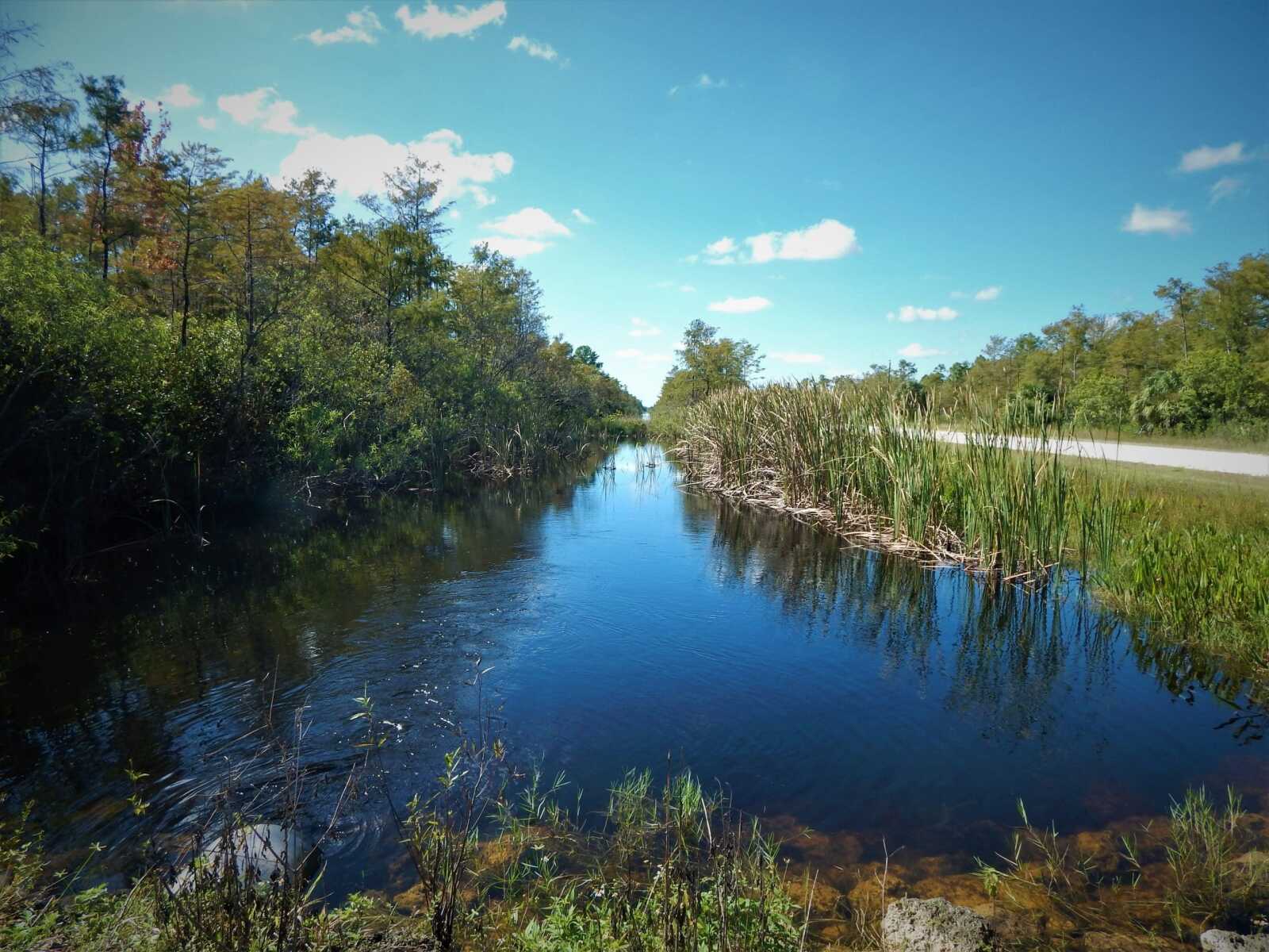 Everglades National Park Wallpapers (51 images) - WallpaperCat