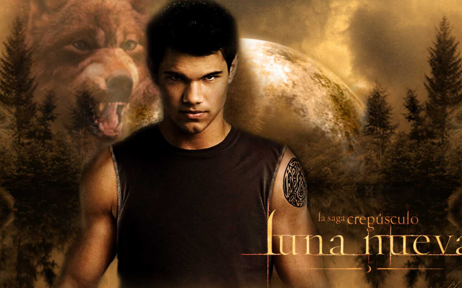 Twilight Werewolves Wallpapers (15 images) - WallpaperCat