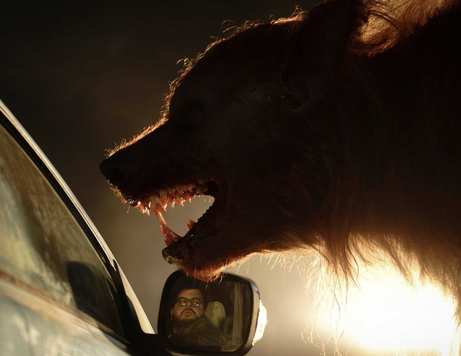 Wolf Like Me (TV Series) Wallpapers (10 images) - WallpaperCat