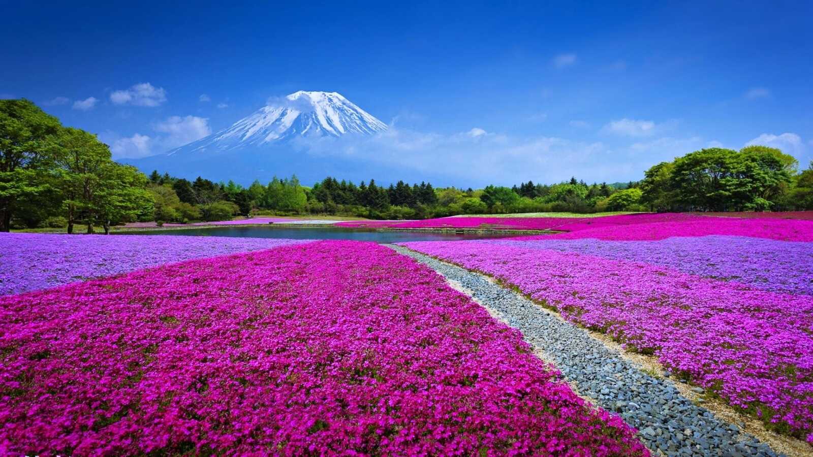 Asia Wallpapers (52 images) - WallpaperCat