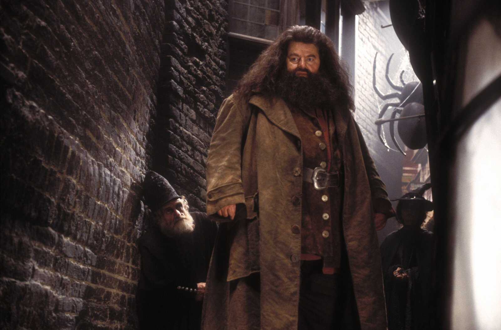 Hagrid Wallpapers (24 images) - WallpaperCat
