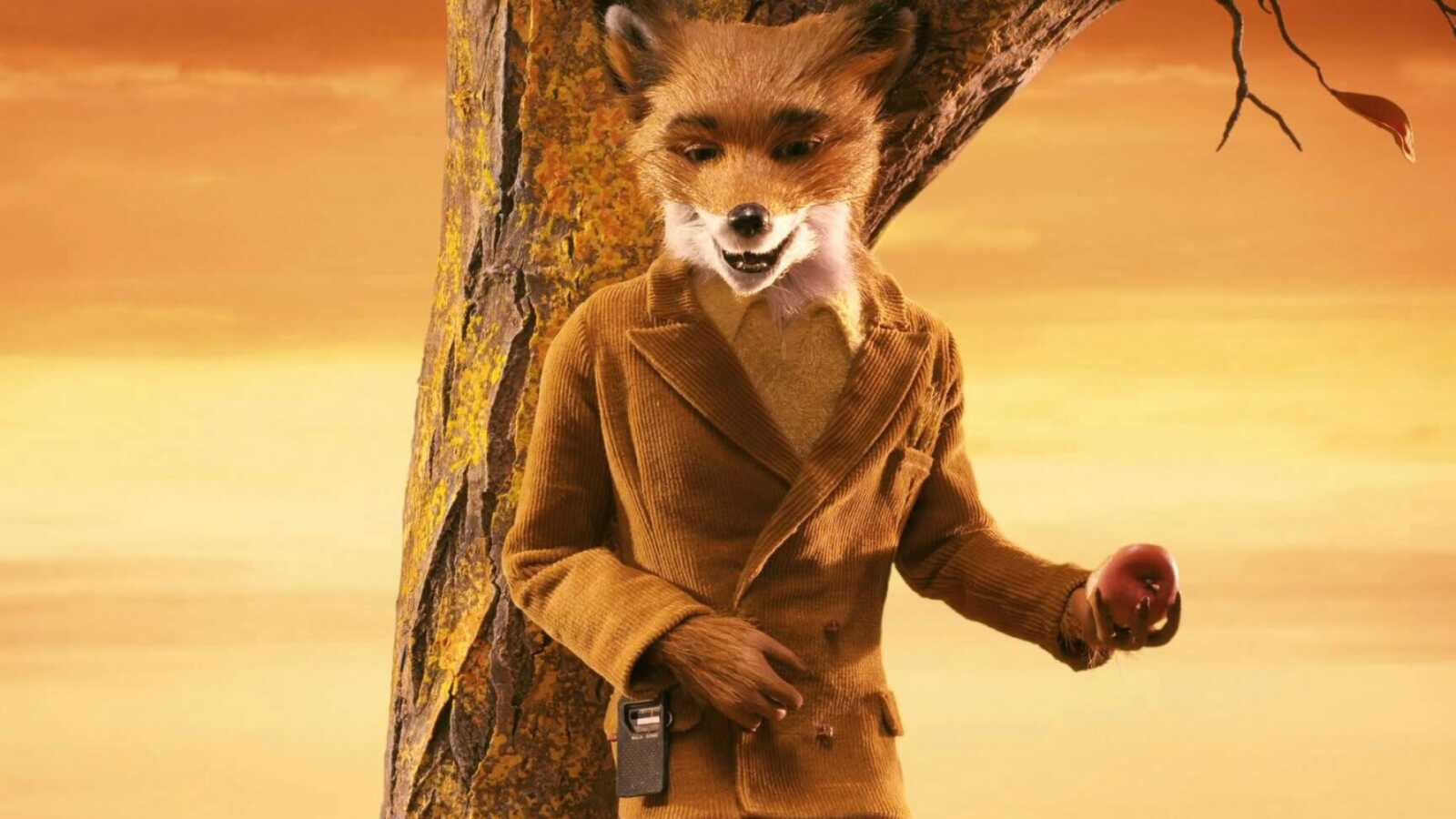 Fantastic Mr. Fox Wallpapers (33 images) - WallpaperCat