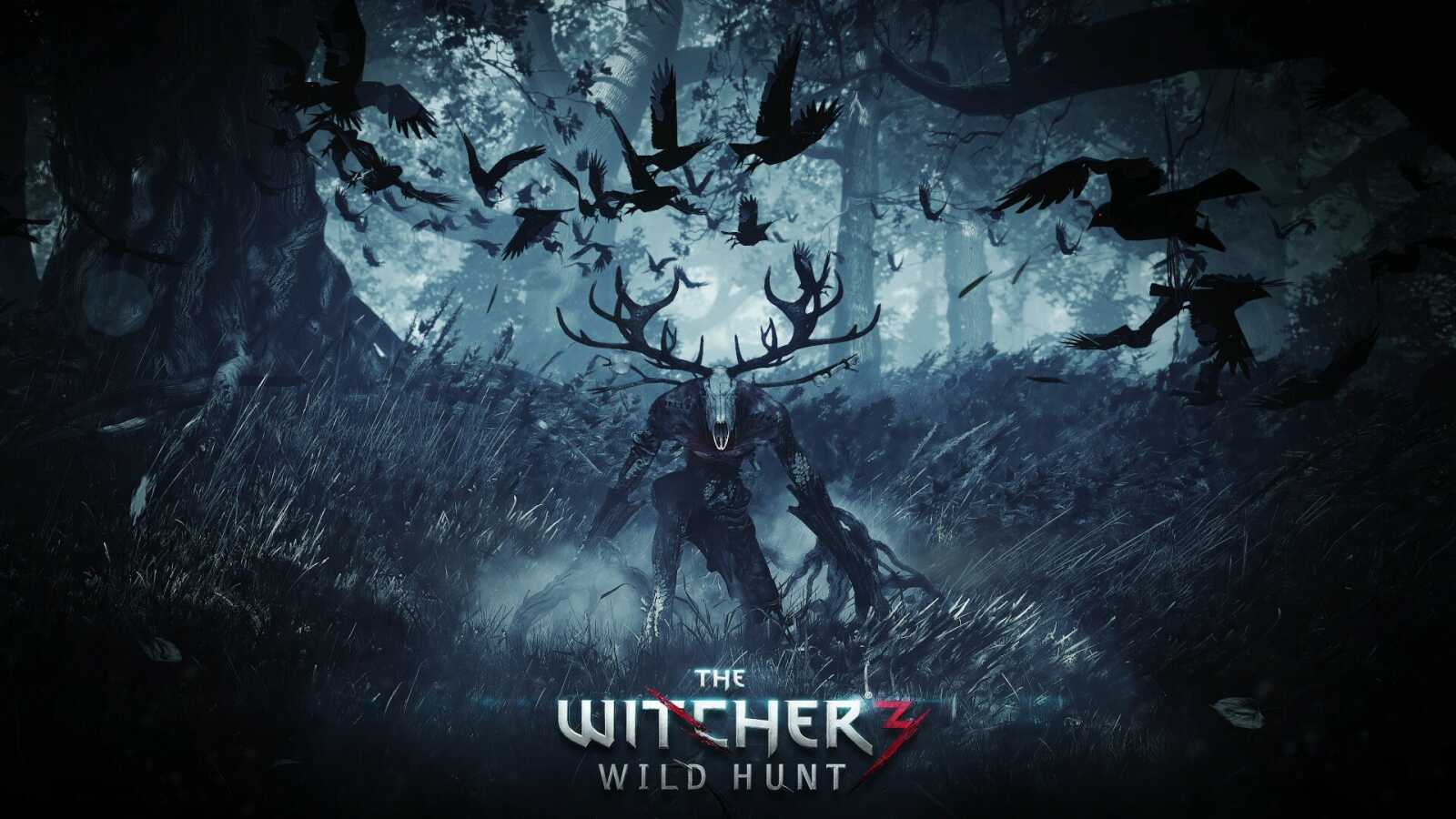 The Witcher (Game) Wallpapers (68 images) - WallpaperCat