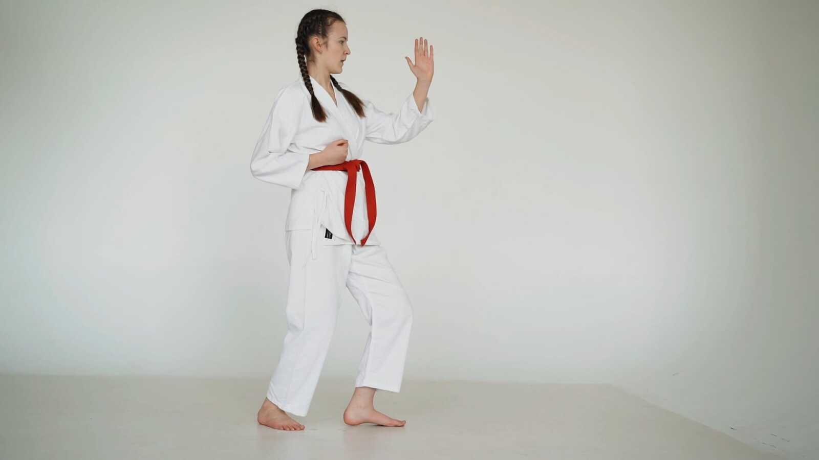 Karate Wallpapers (29 images) - WallpaperCat