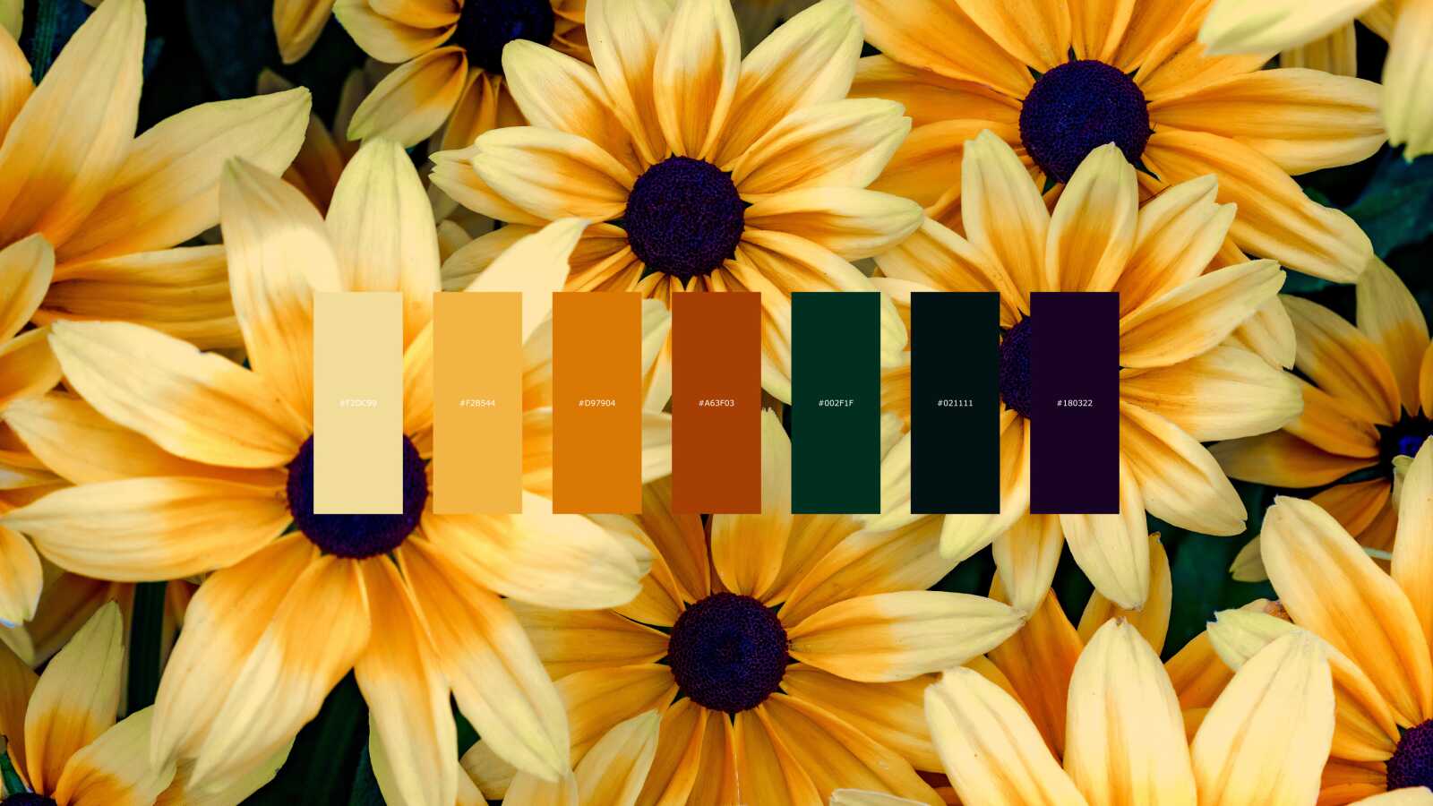 Color Palette Wallpapers (40 images) - WallpaperCat