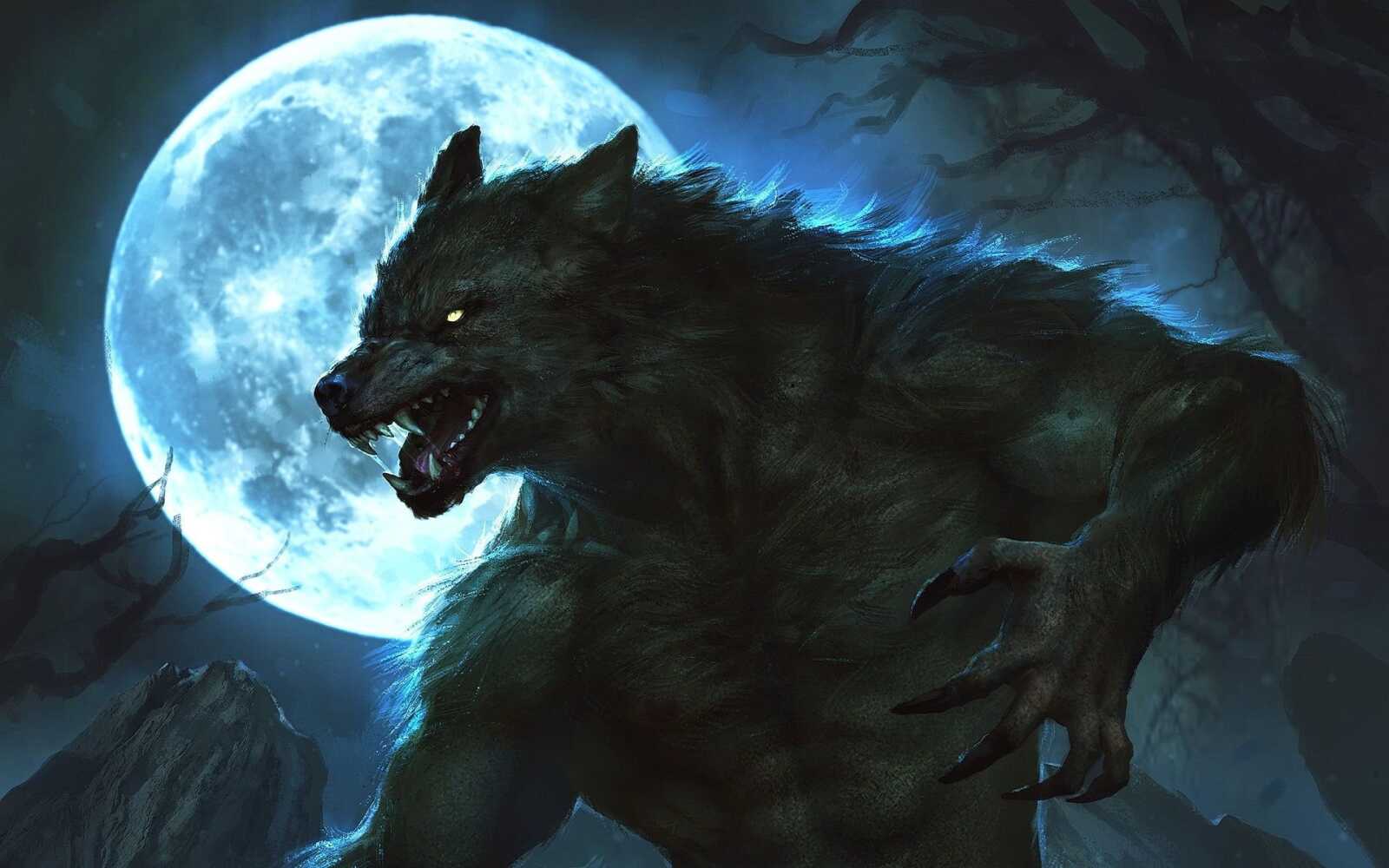 Werewolf Wallpapers (35 images) - WallpaperCat