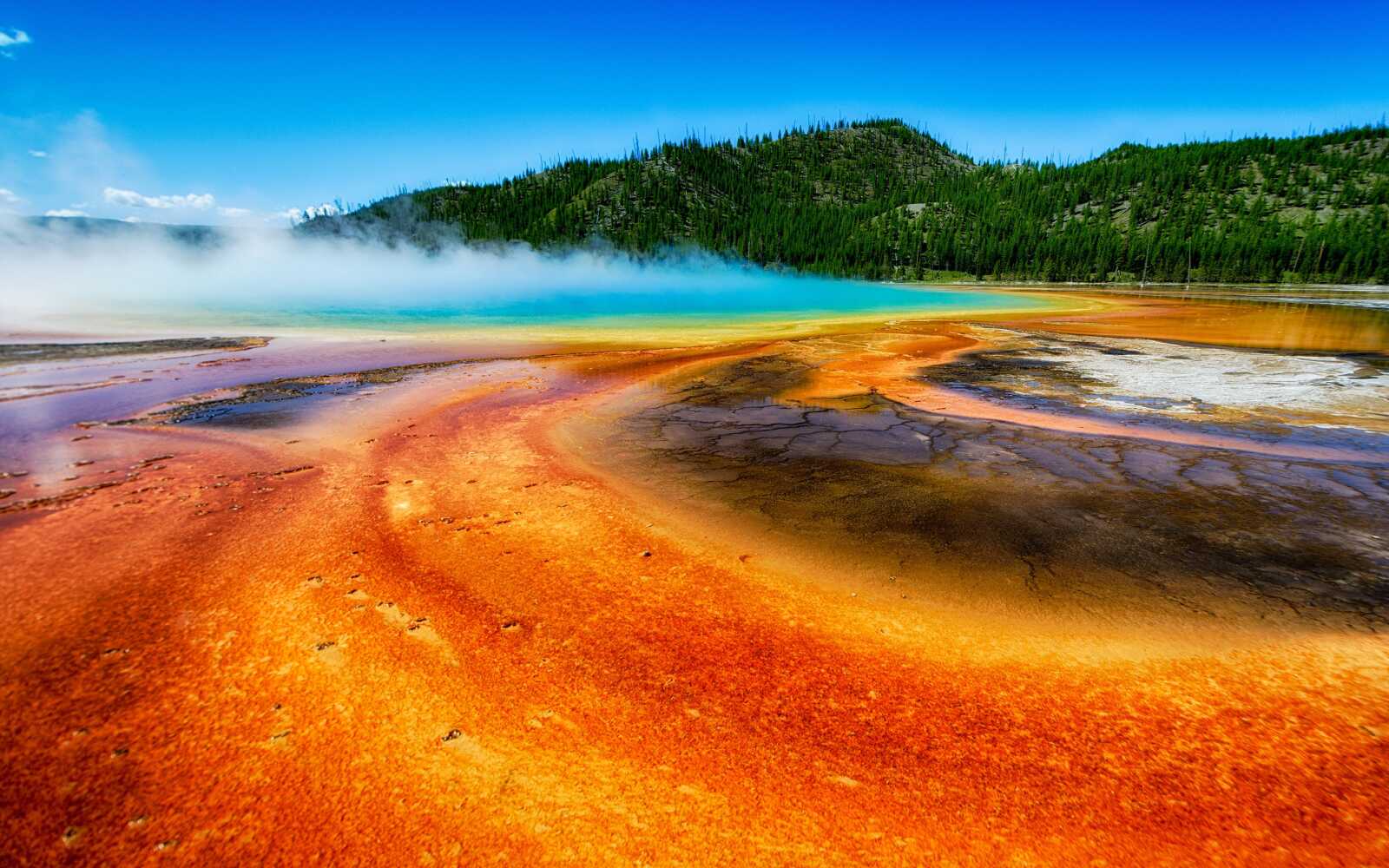 Yellowstone National Park Wallpapers (61 images) - WallpaperCat