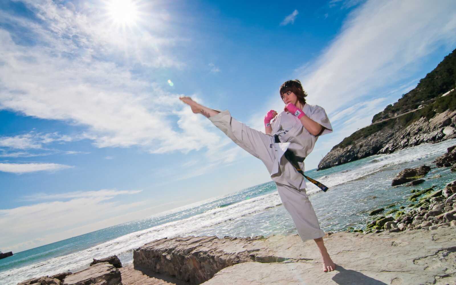 Karate Wallpapers (29 images) - WallpaperCat