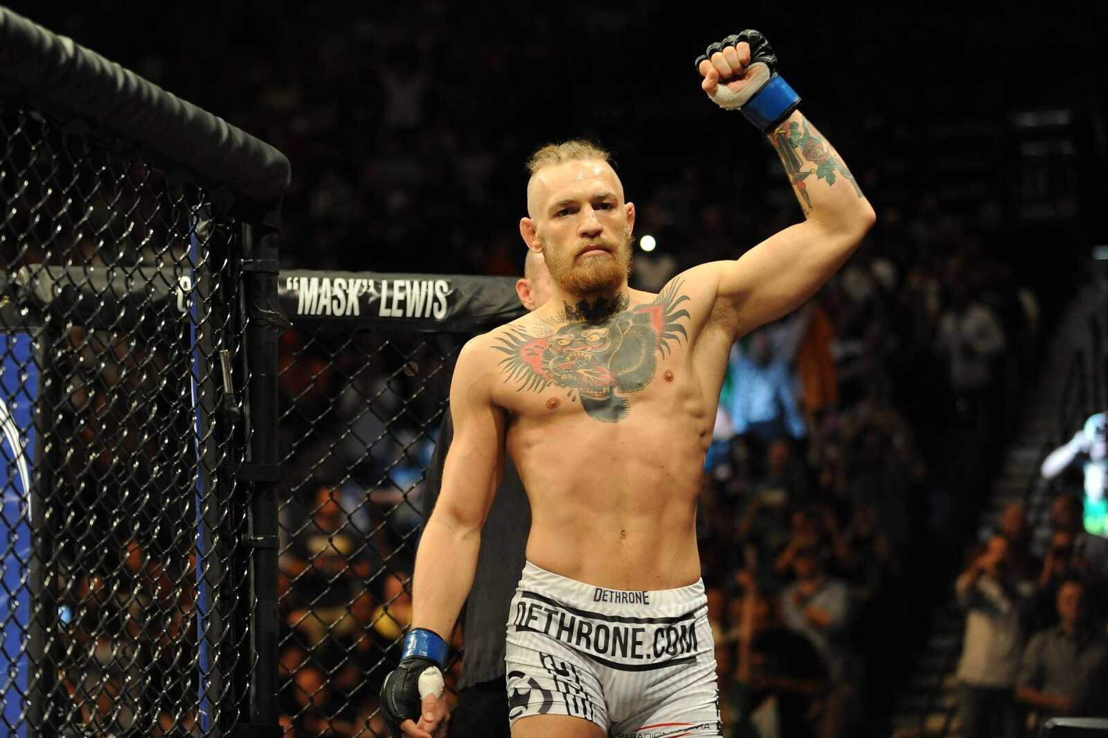 Mixed Martial Arts Wallpapers (34 images) - WallpaperCat