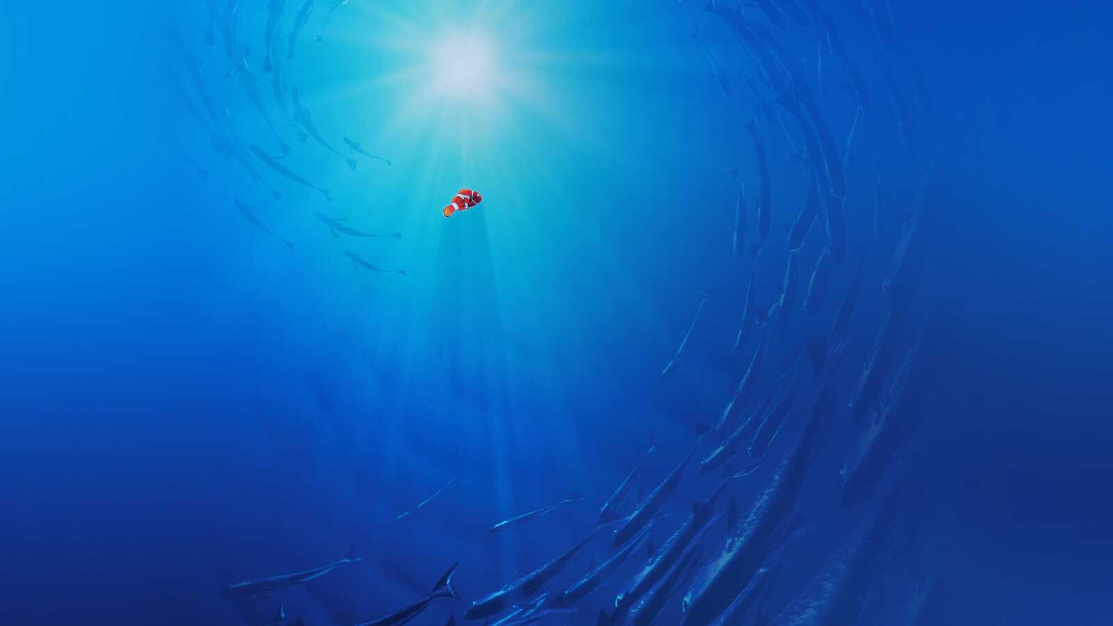 Finding Nemo Wallpapers (25 images) - WallpaperCat