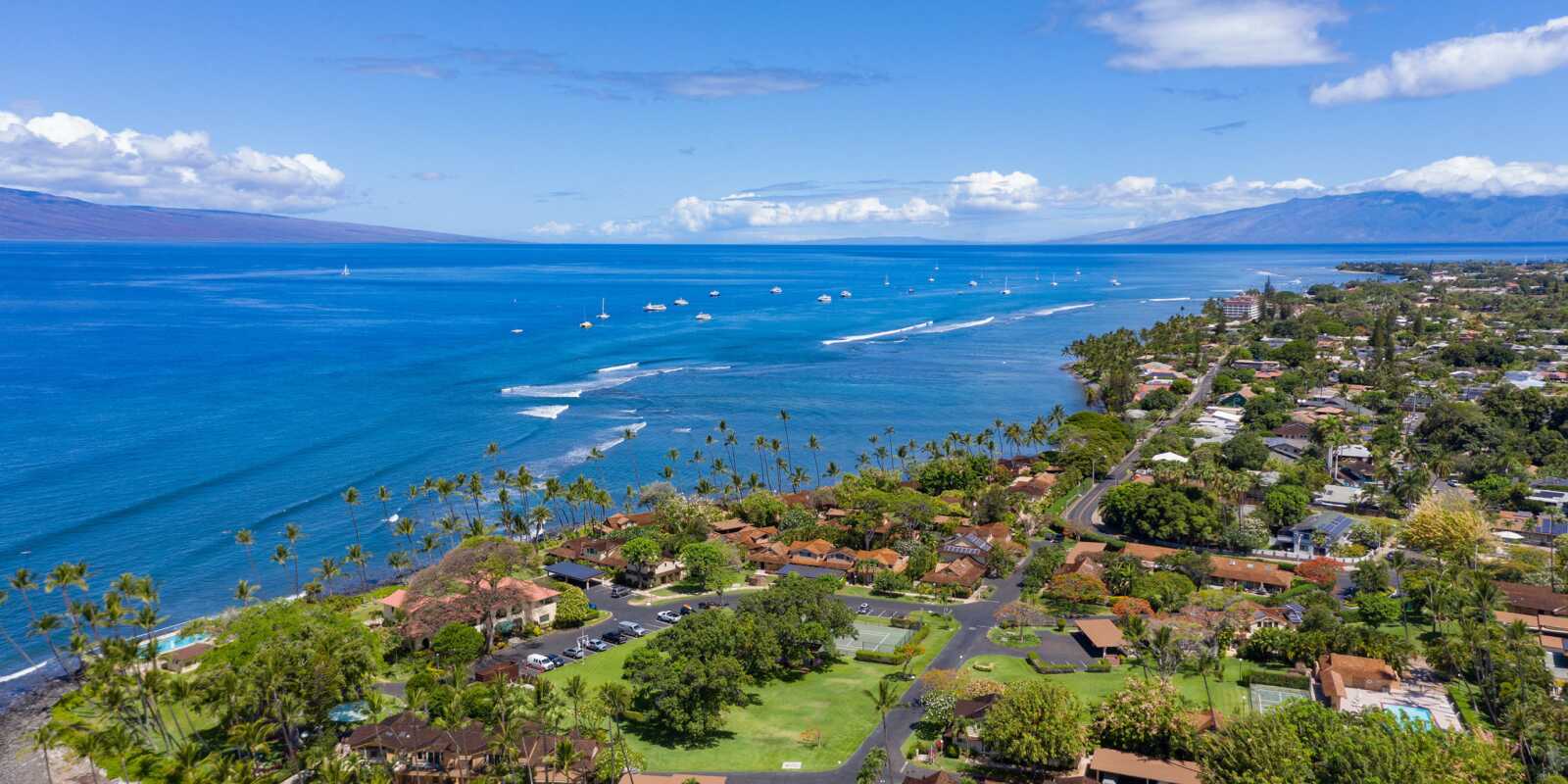 Lahaina Wallpapers (25 images) - WallpaperCat