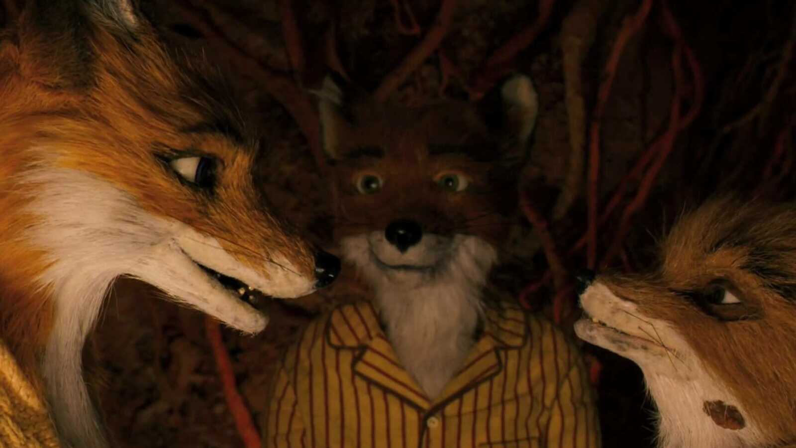 Fantastic Mr. Fox Wallpapers (33 images) - WallpaperCat