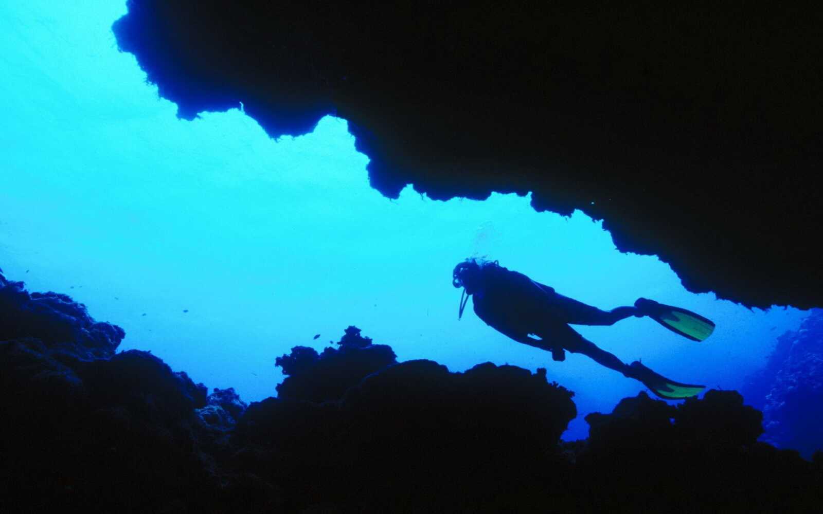 Diving Wallpapers (43 images) - WallpaperCat