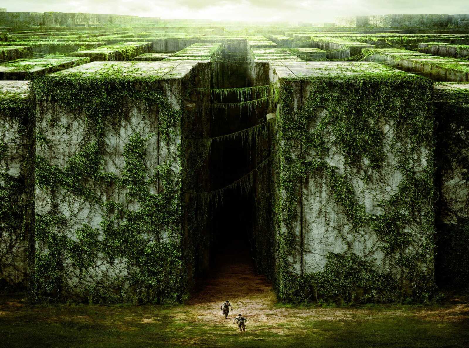The Maze Runner Wallpapers (57 images) - WallpaperCat
