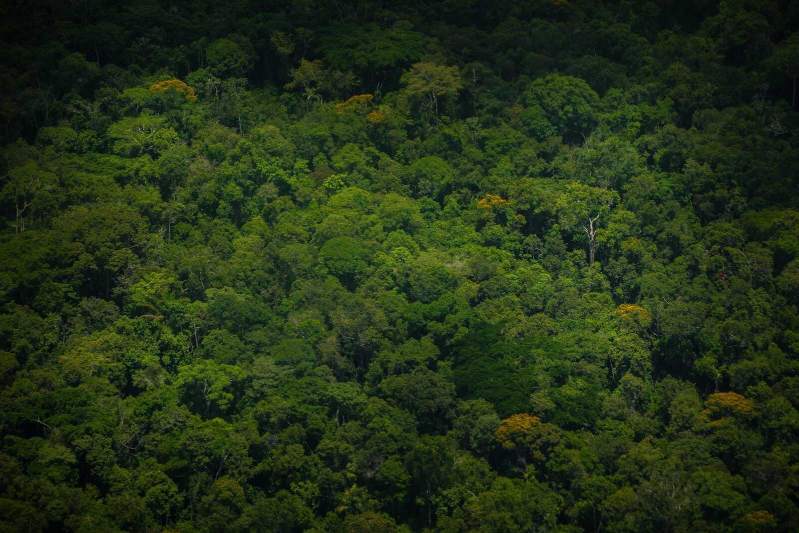 Democratic Republic of the Congo Wallpapers (18 images) - WallpaperCat
