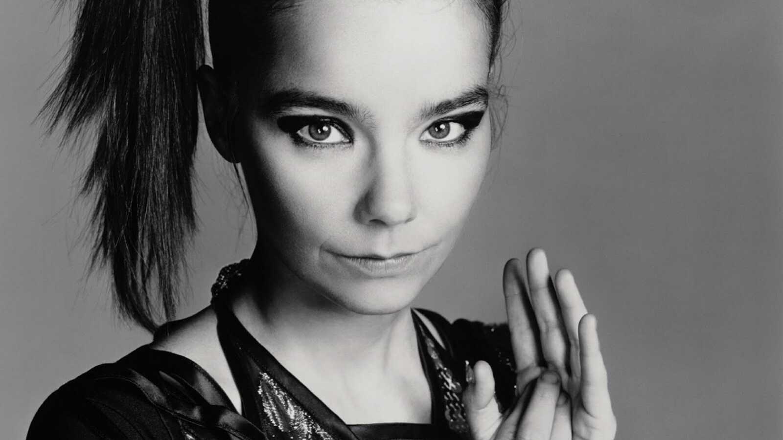 Bjork Wallpapers (27 images) - WallpaperCat