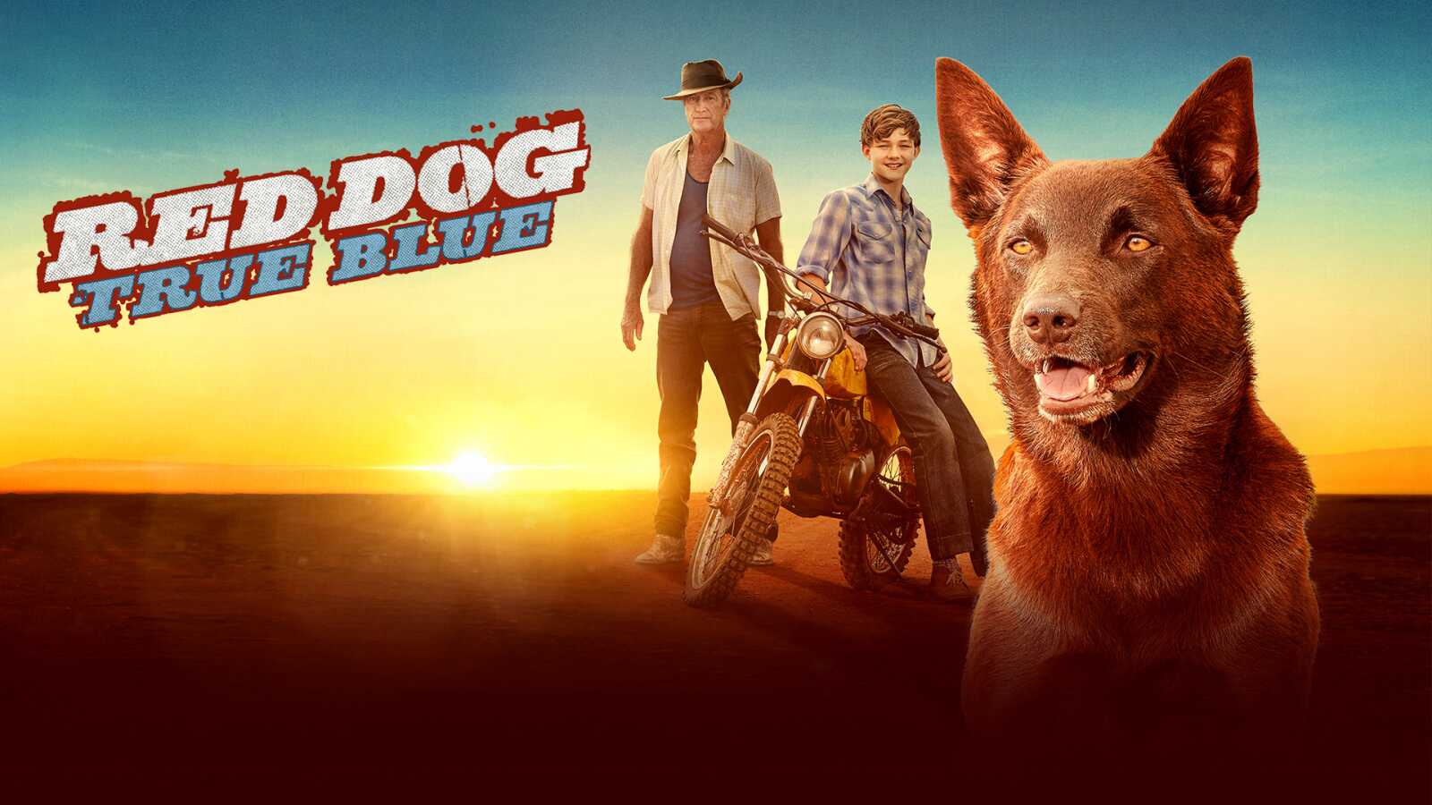 Red Dog Wallpapers (10 images) - WallpaperCat