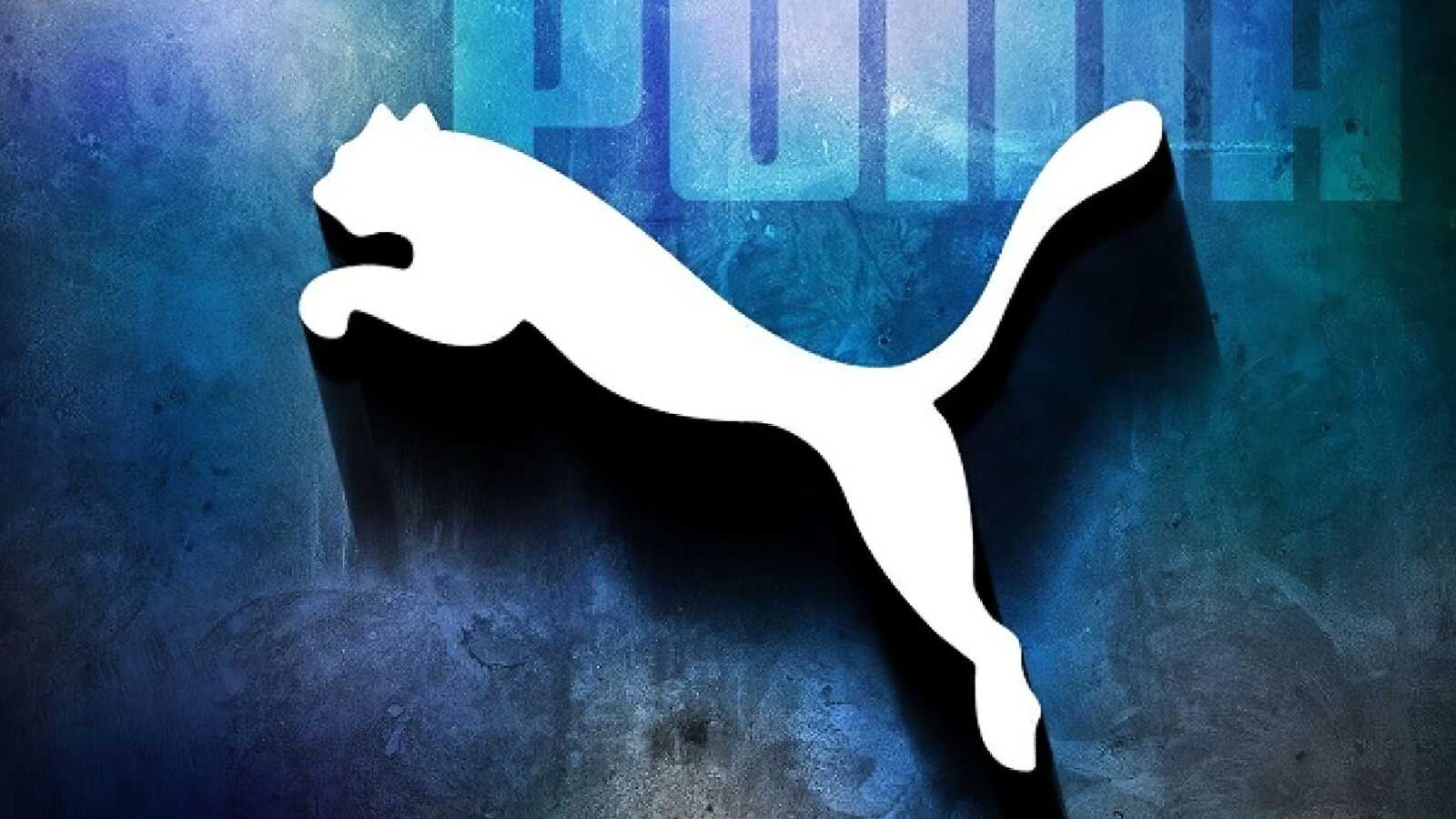Puma Wallpapers (36 images) - WallpaperCat