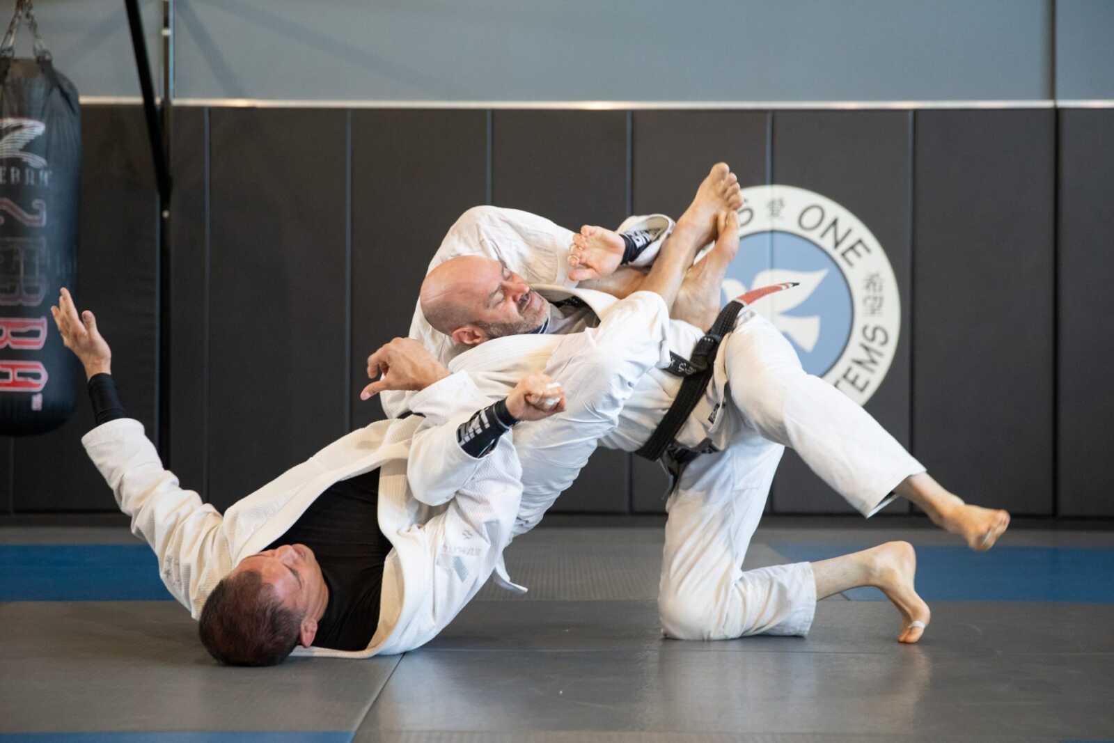 Jiu-jitsu Wallpapers (22 images) - WallpaperCat