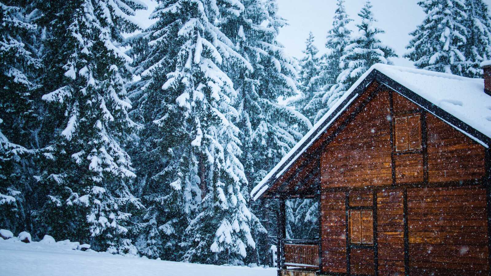 Snowfall Wallpapers (28 images) - WallpaperCat