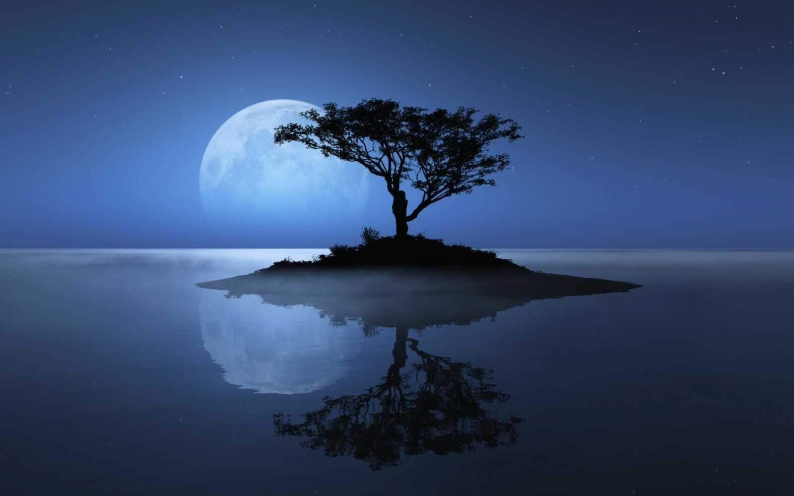 Moon Wallpapers (46 images) - WallpaperCat
