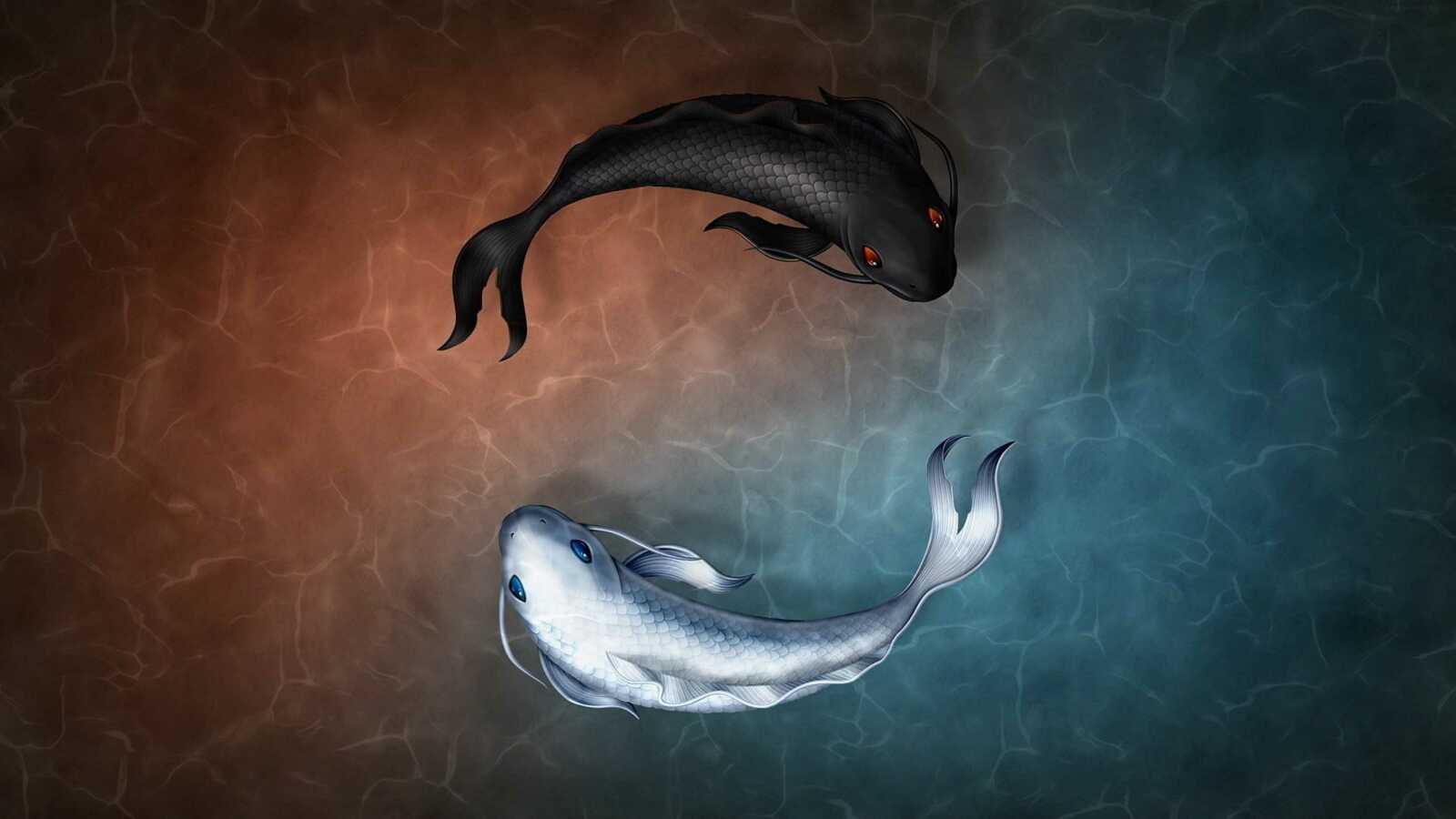 Fish Wallpapers (94 images) - WallpaperCat