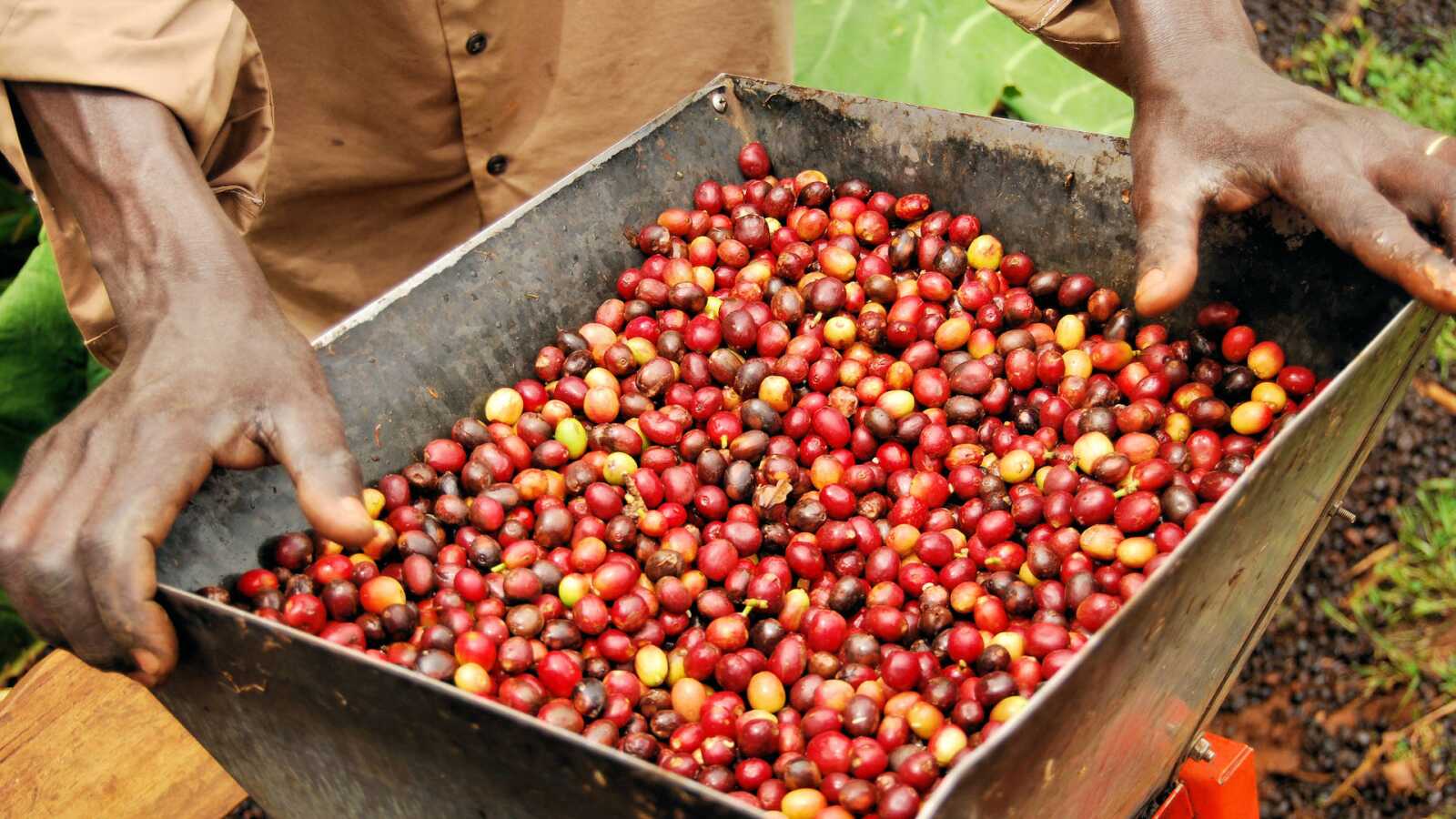 Uganda Wallpapers (30 images) - WallpaperCat