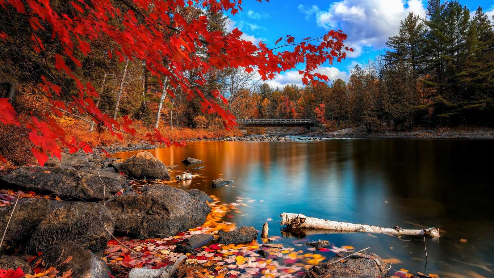 Fall Wallpapers (63 images) - WallpaperCat