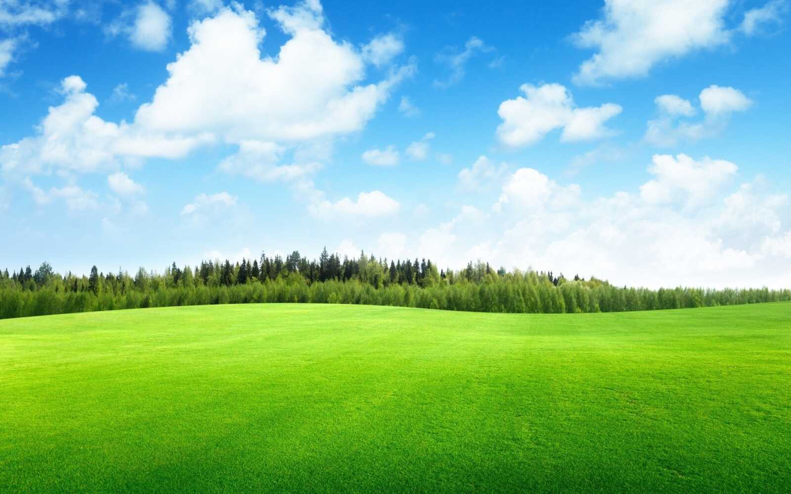 Grass and Sky Wallpapers (49 images) - WallpaperCat