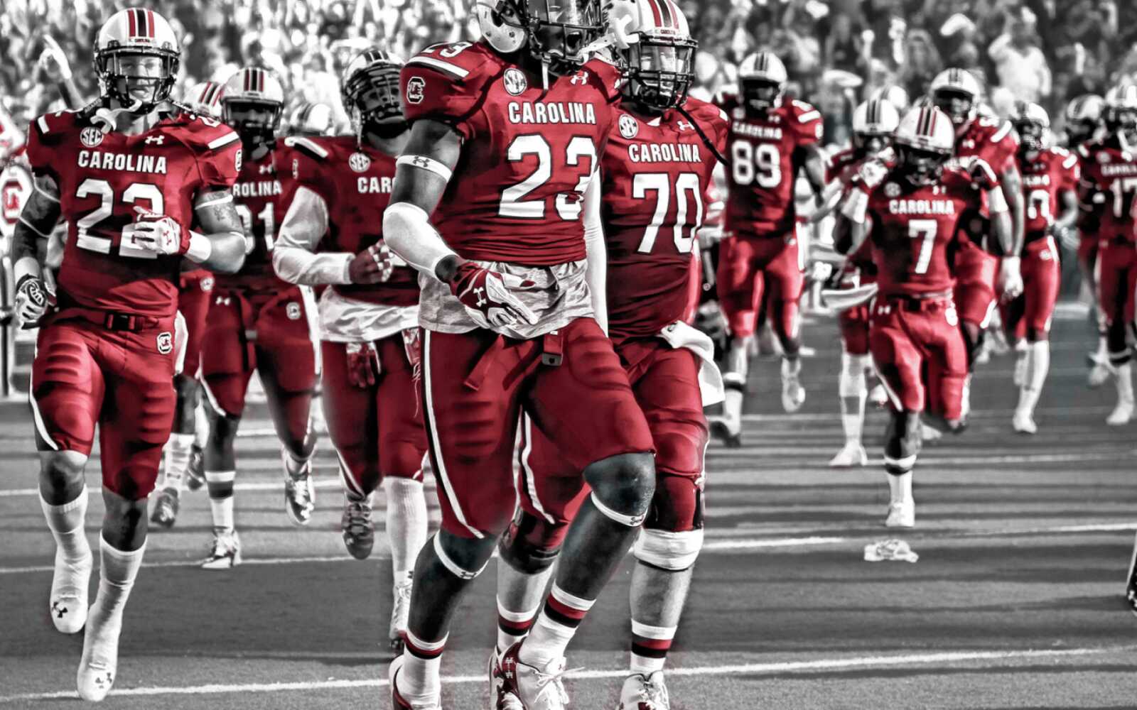 Gamecocks Wallpapers (31 images) - WallpaperCat