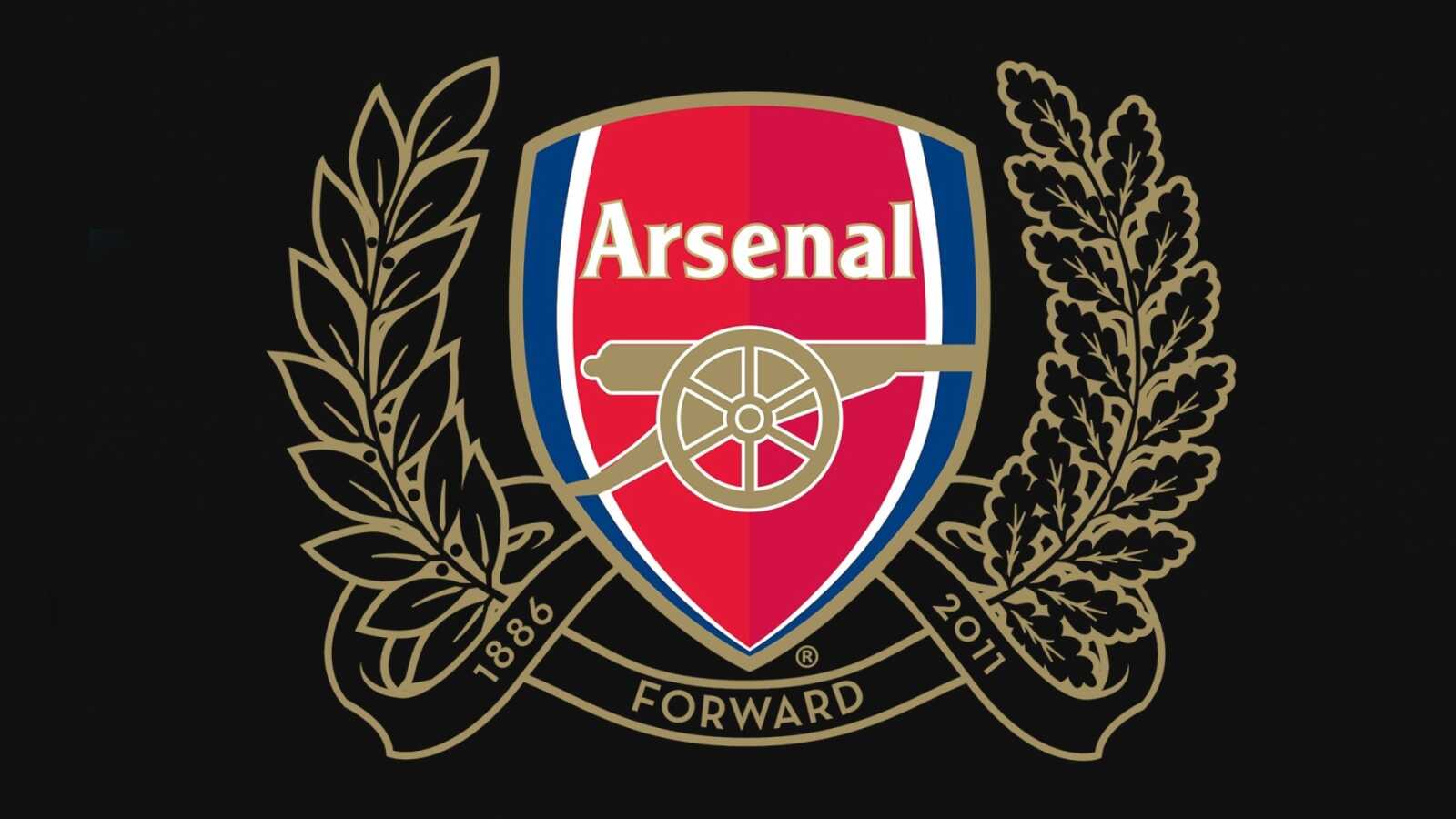 Arsenal FC Wallpapers (55 images) - WallpaperCat