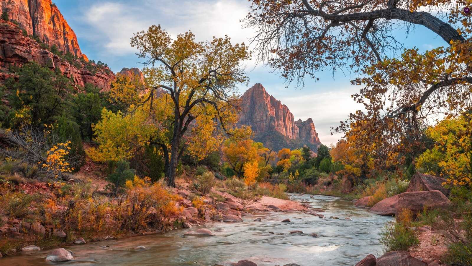 Zion National Park Wallpapers (67 images) - WallpaperCat