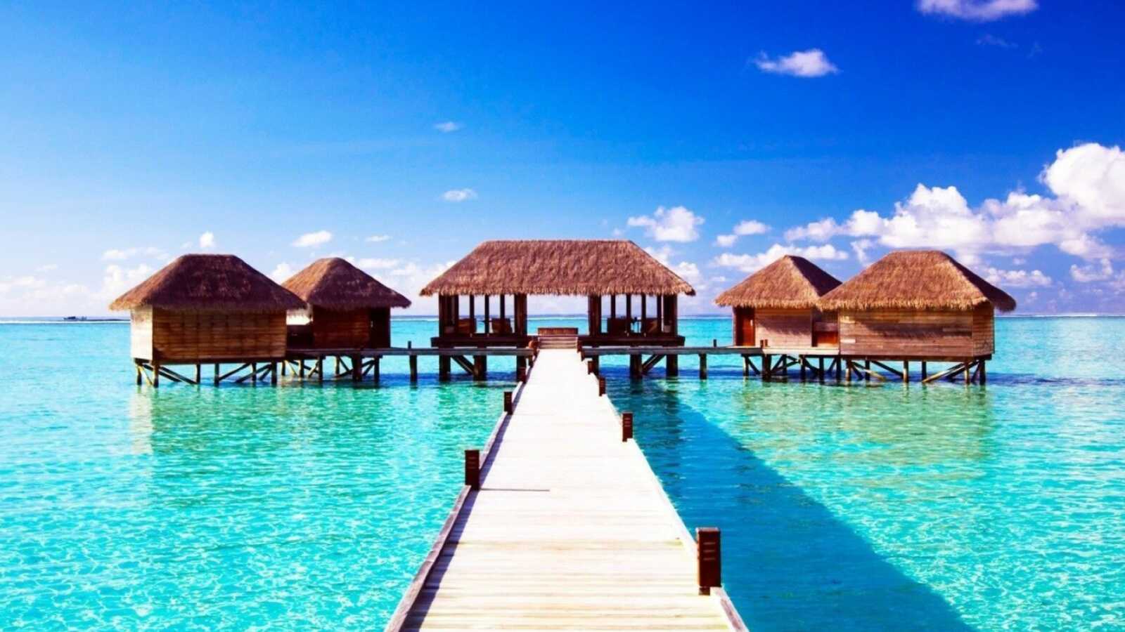 Summer Wallpapers (99 images) - WallpaperCat